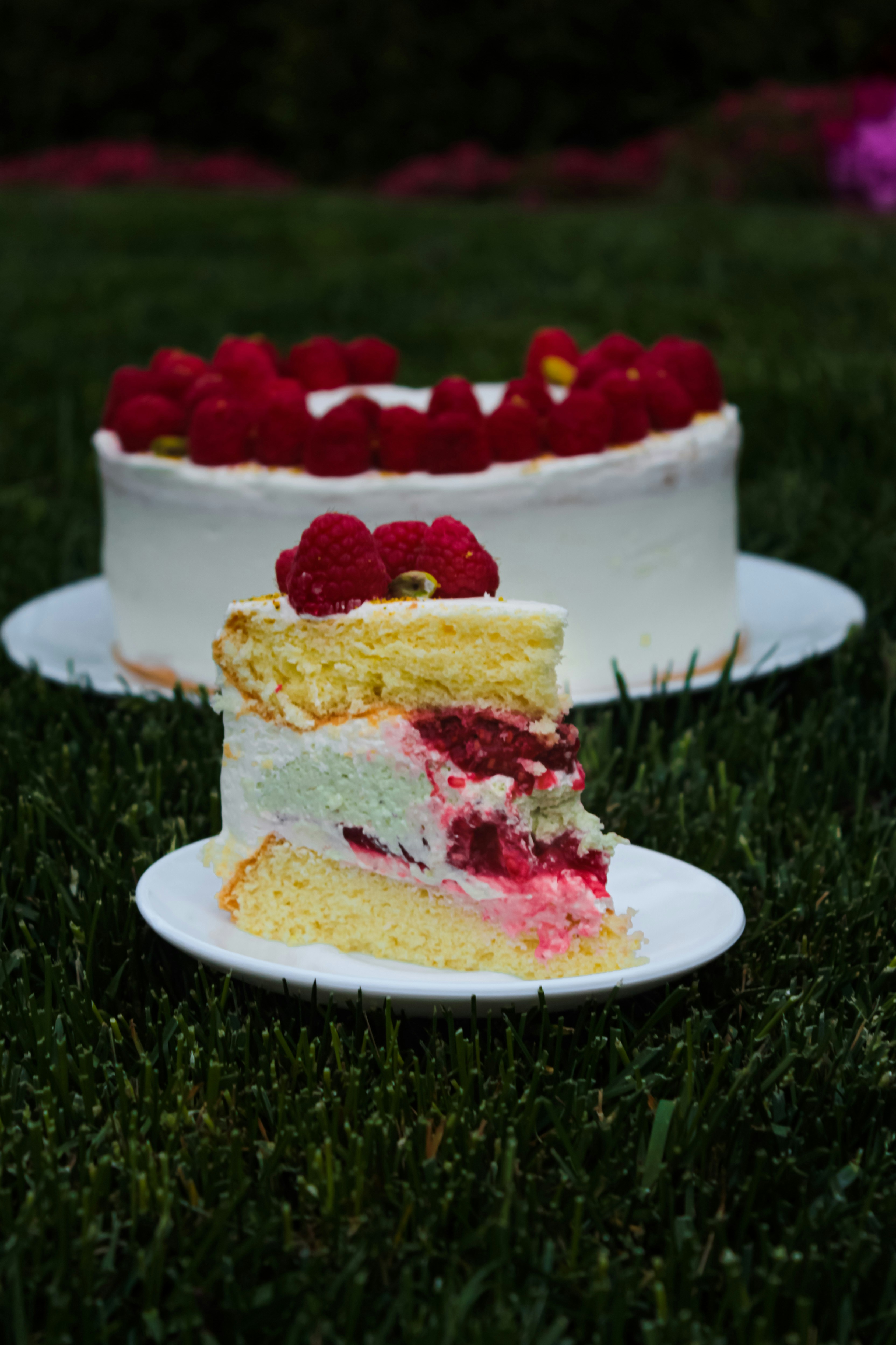 Slice of Raspberry-Ripple Vanilla Cake in a Lawnside Spotlight