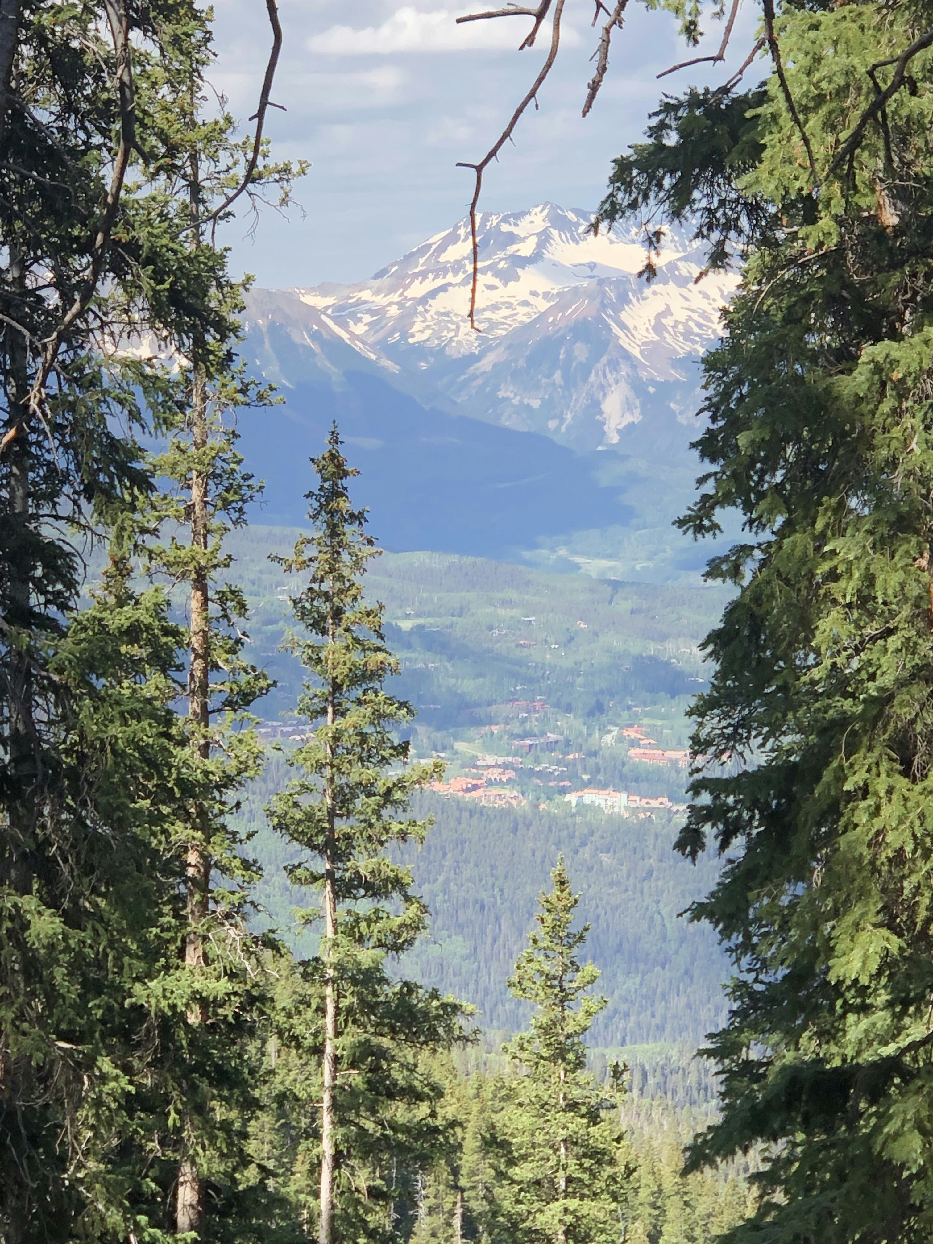 Snow-capped mountains loom in the distance, framed by tall evergreen trees, showcasing a serene landscape in nature.