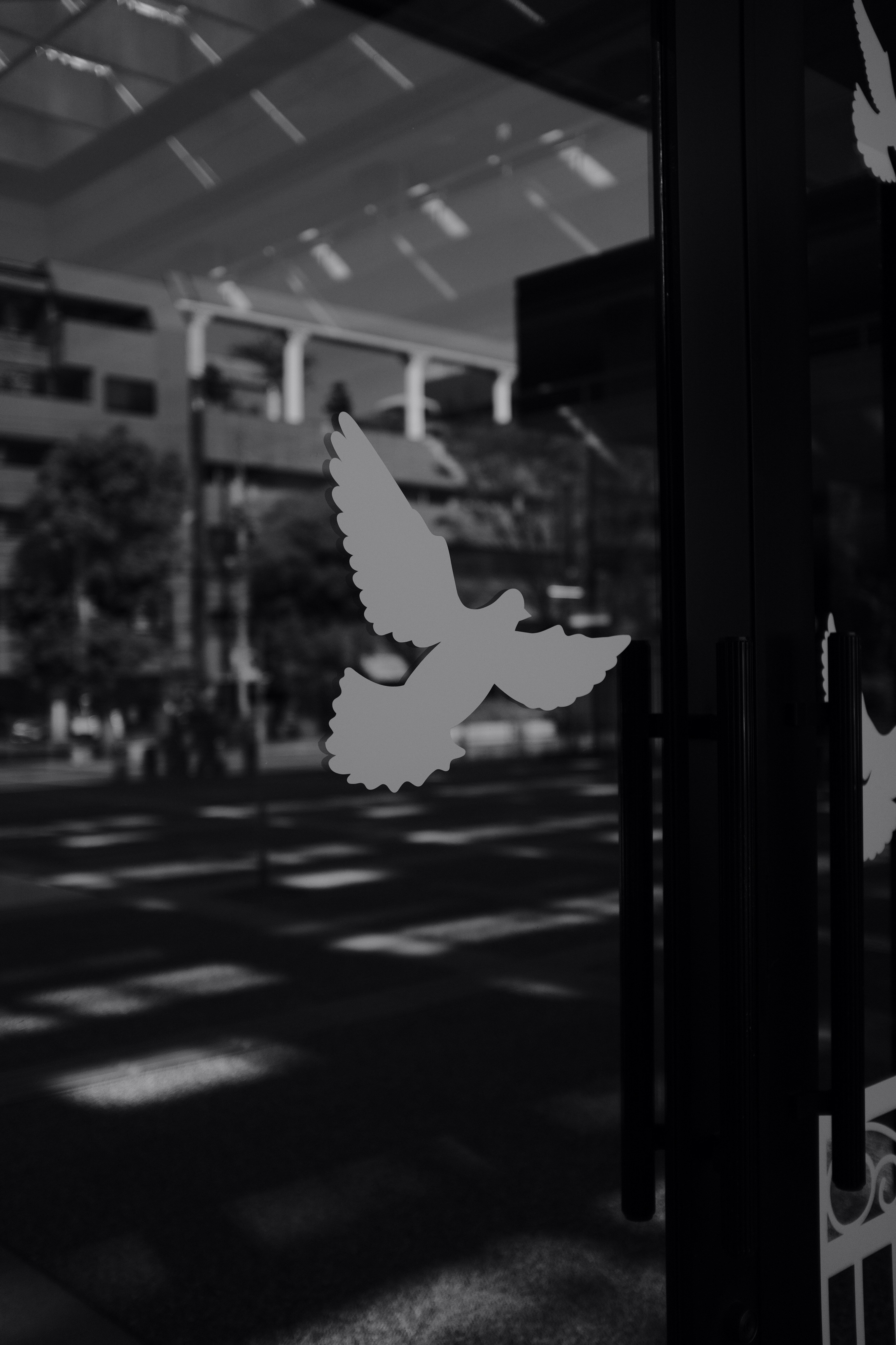 Dove in Glass: Urban Atrium Silhouette at Dusk