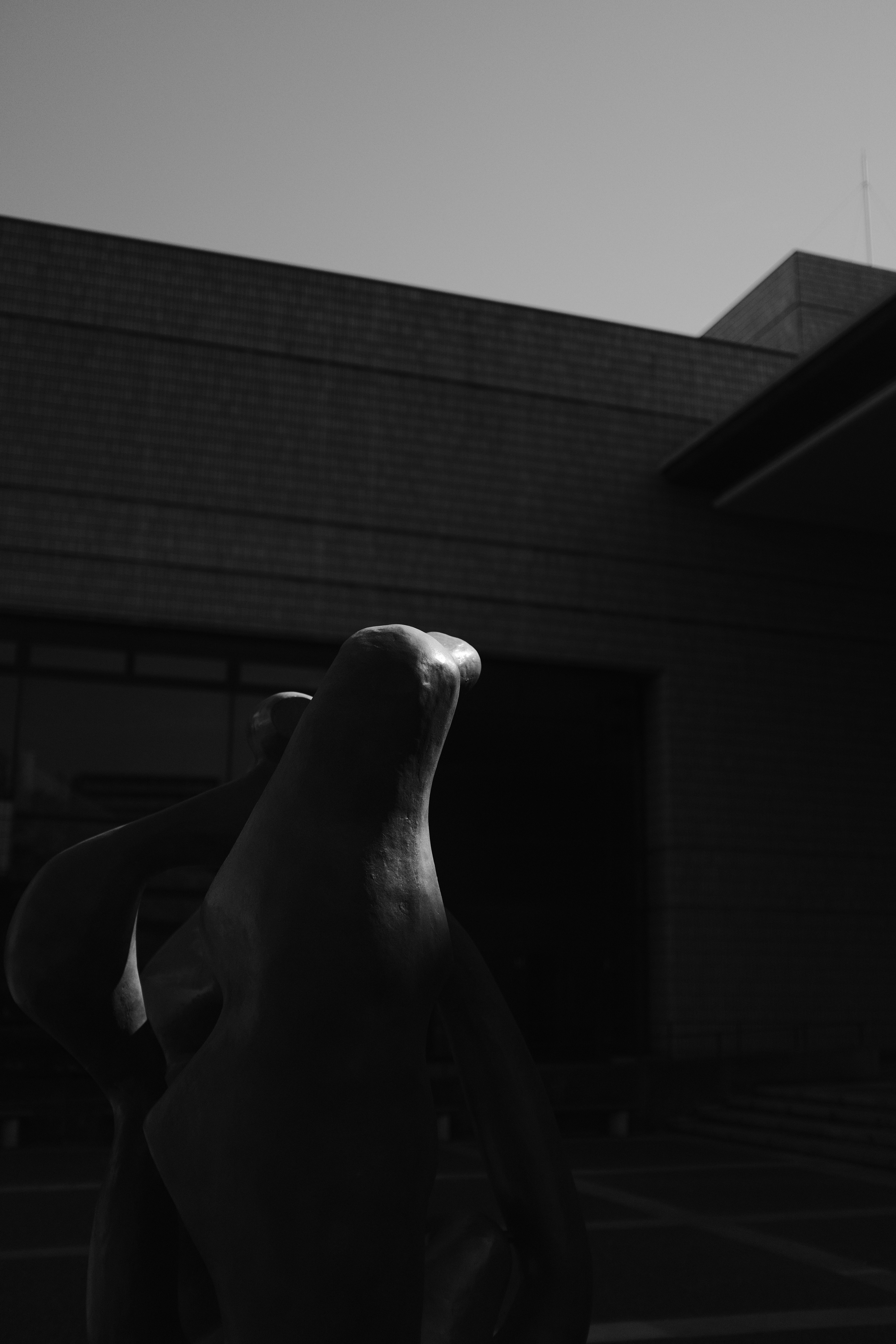 Shadowed Gesture: A Hand Sculpture in Concrete Light