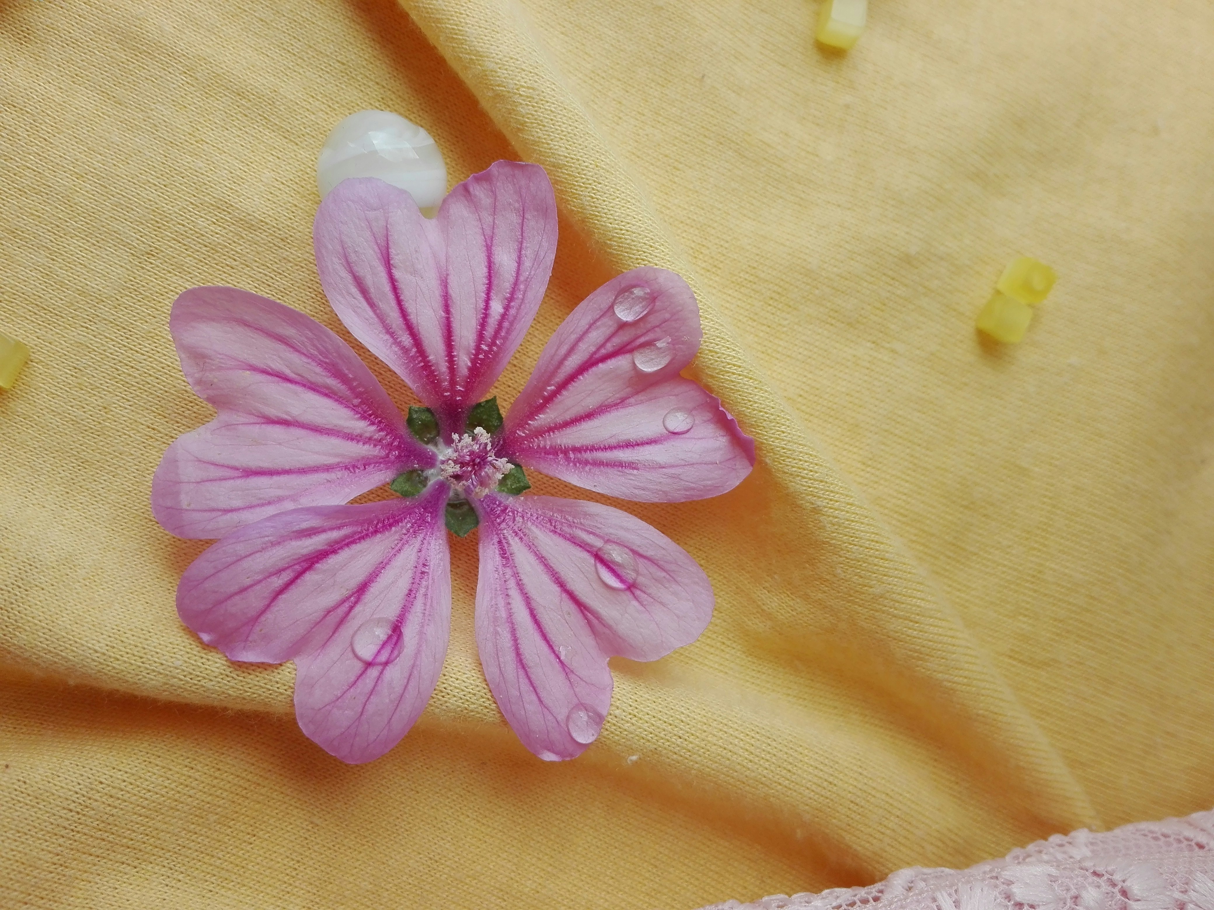A pink flower with droplets rests on a yellow fabric, surrounded by small colorful beads. The composition highlights the contrast between the natural and textile elements.