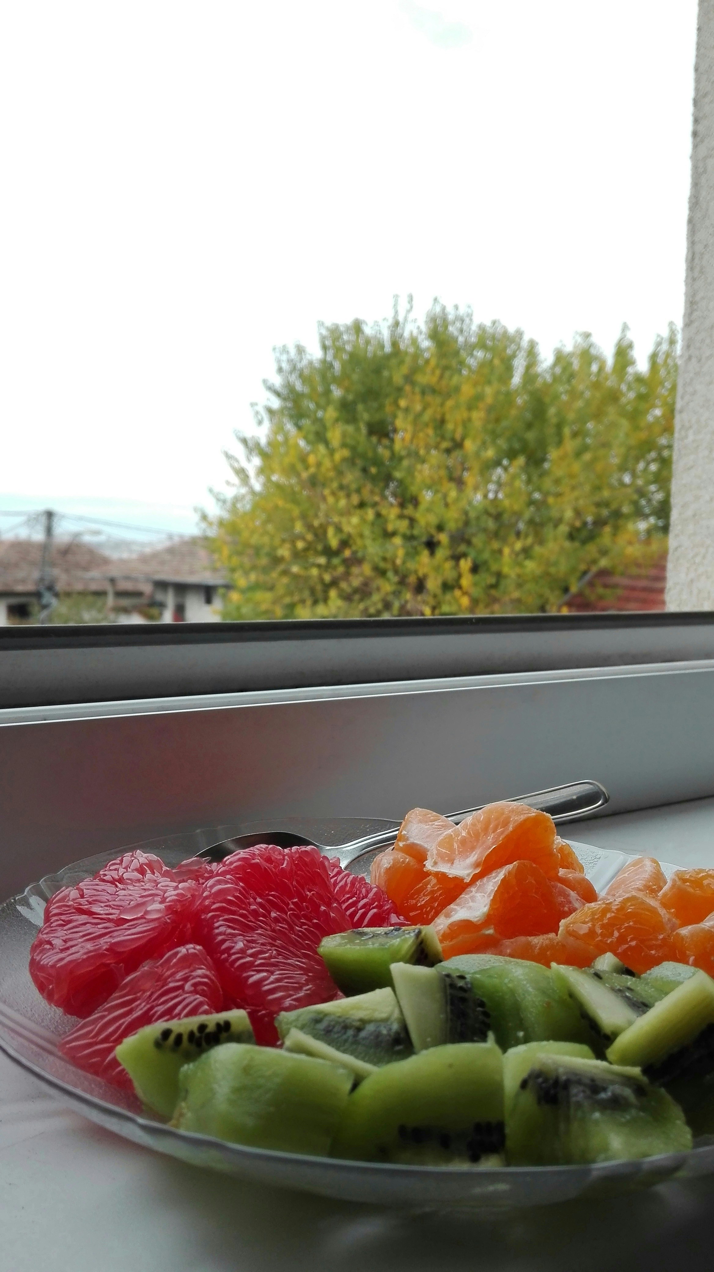 Plate of grapefruit, orange segments, and kiwifruit on a bright windowsill. A tree-filled scene is softly visible through the window.