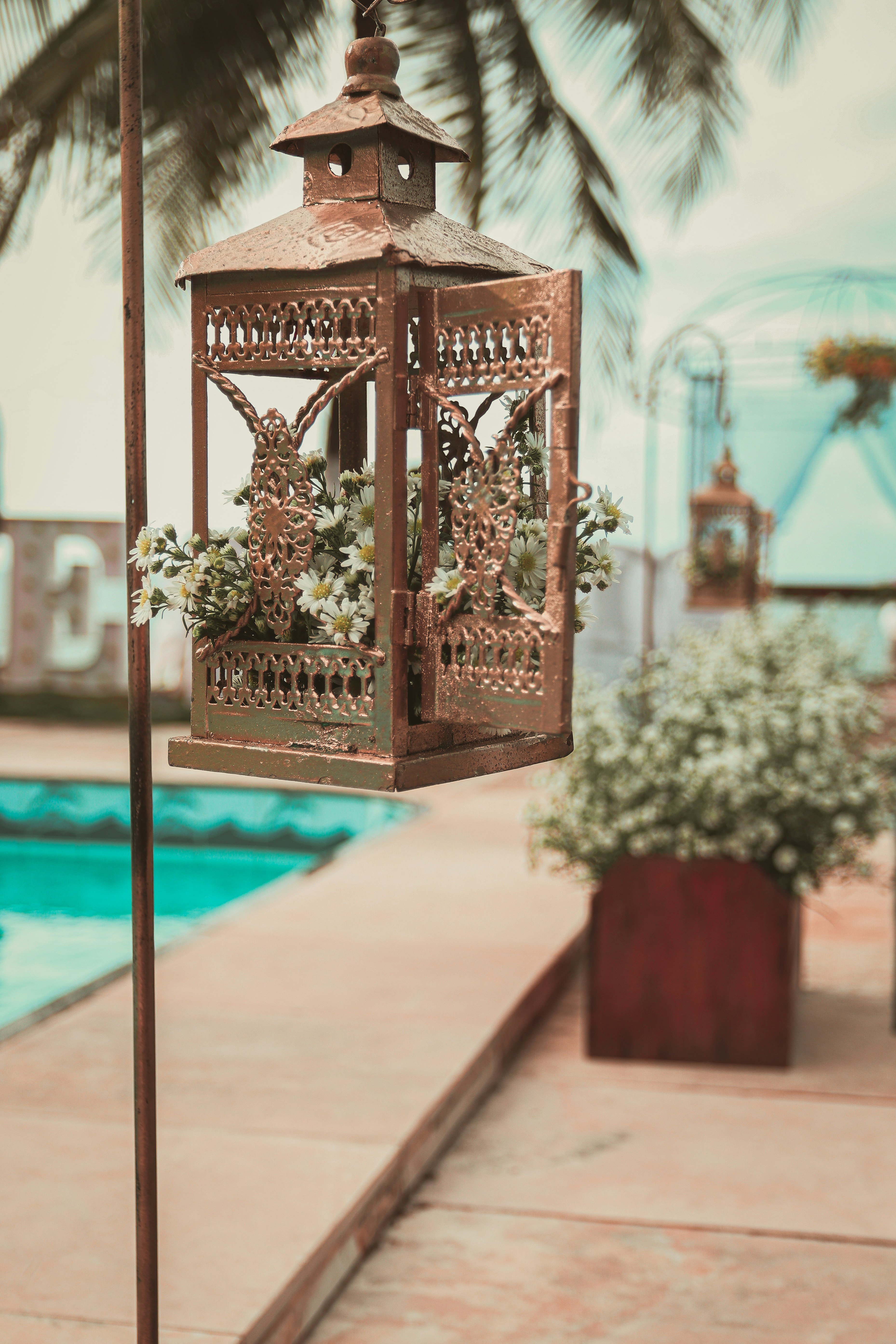 Rustic Lantern in a Dreamy Courtyard