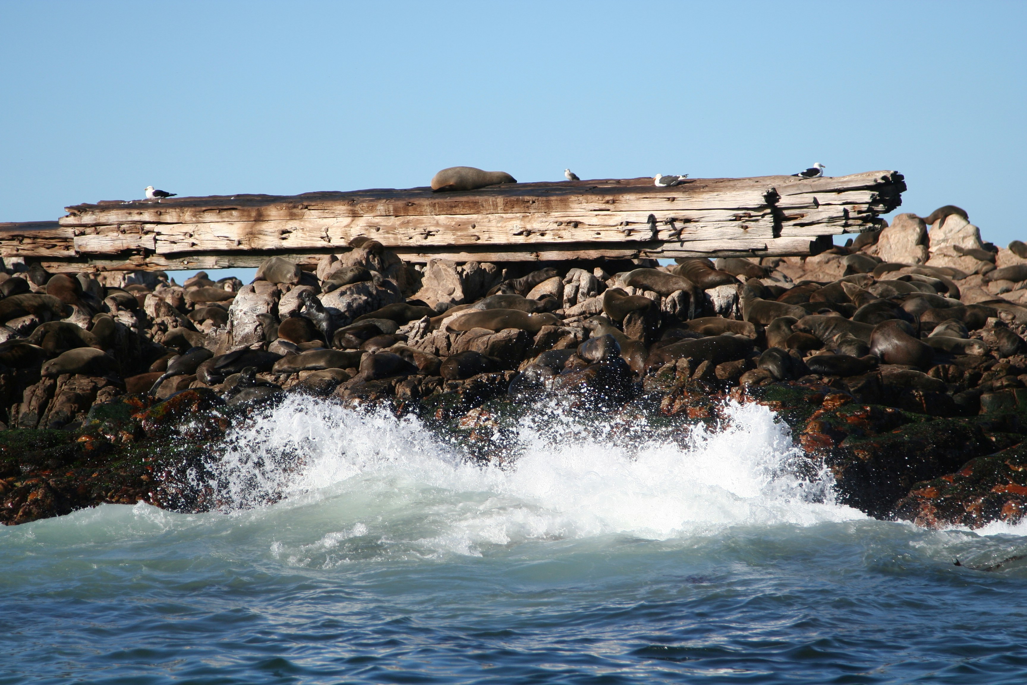 Vagues de mer s’écrasant sur les rochers sous le ciel bleu pendant la ...