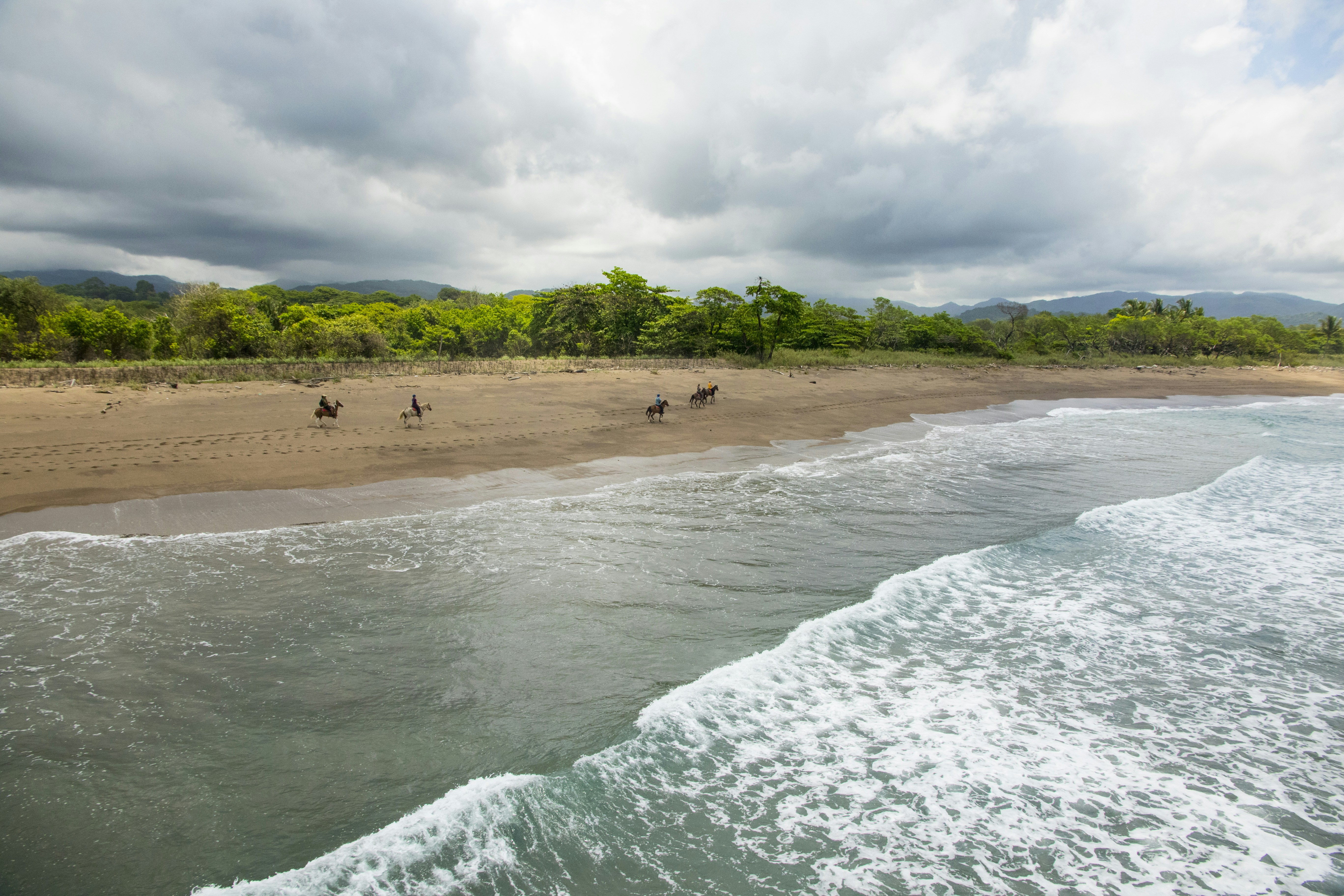 Horses trotting along a sandy beach with lush greenery in the background under a cloudy sky.