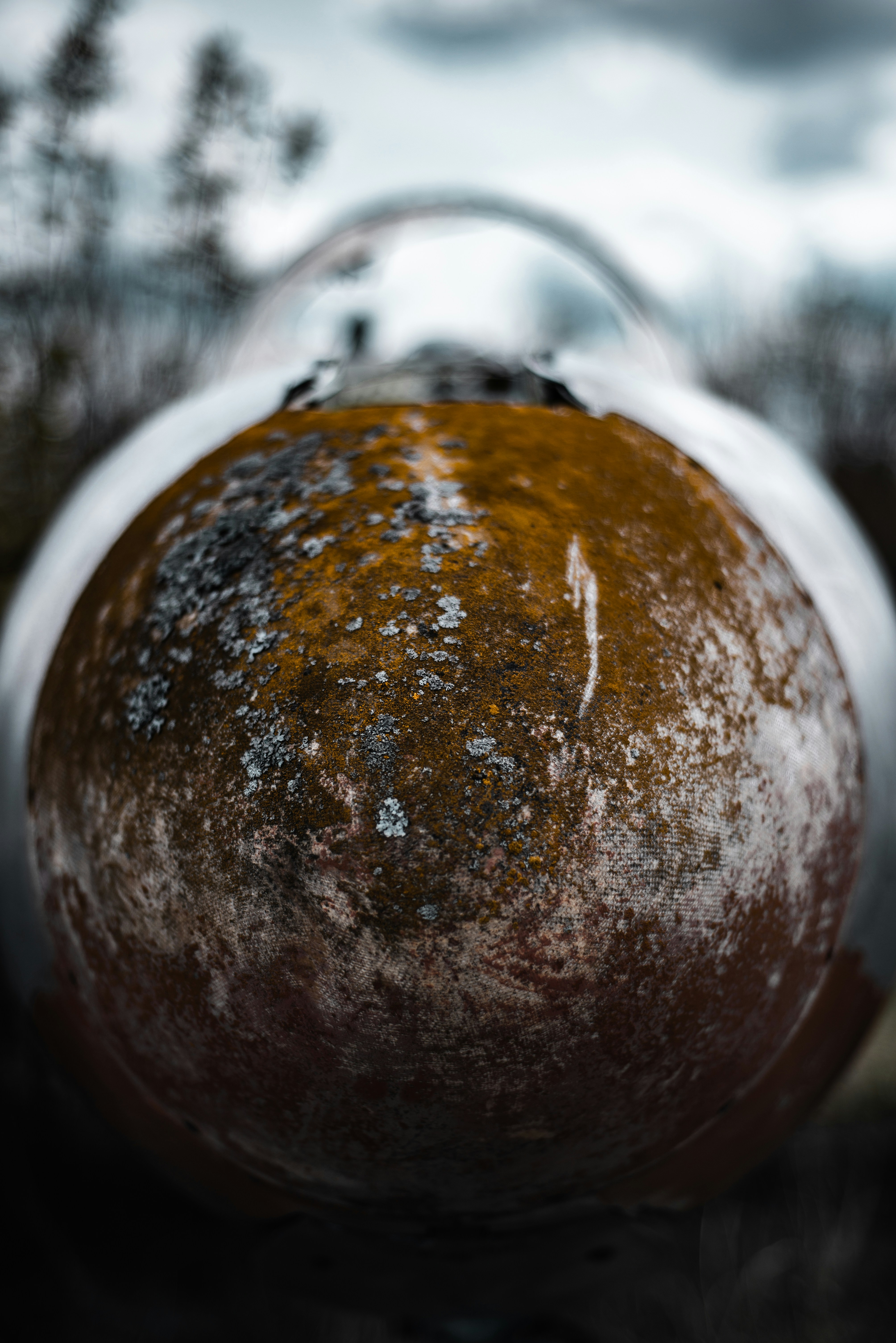 Rust and Moss: A Close-Range Scoop into Time-Worn Metal