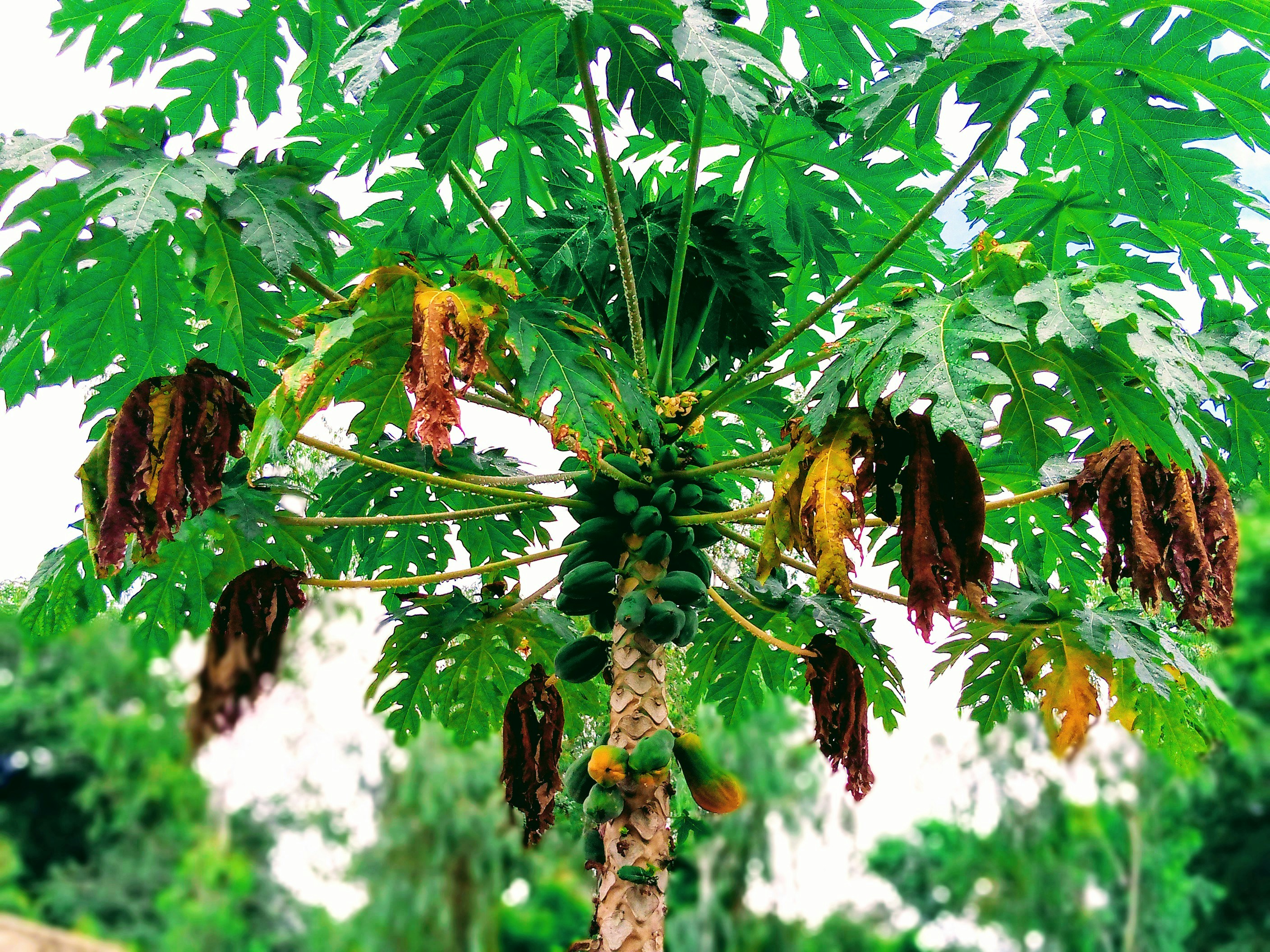 Allan Tasosa (@stasal) | Communauté photos Unsplash