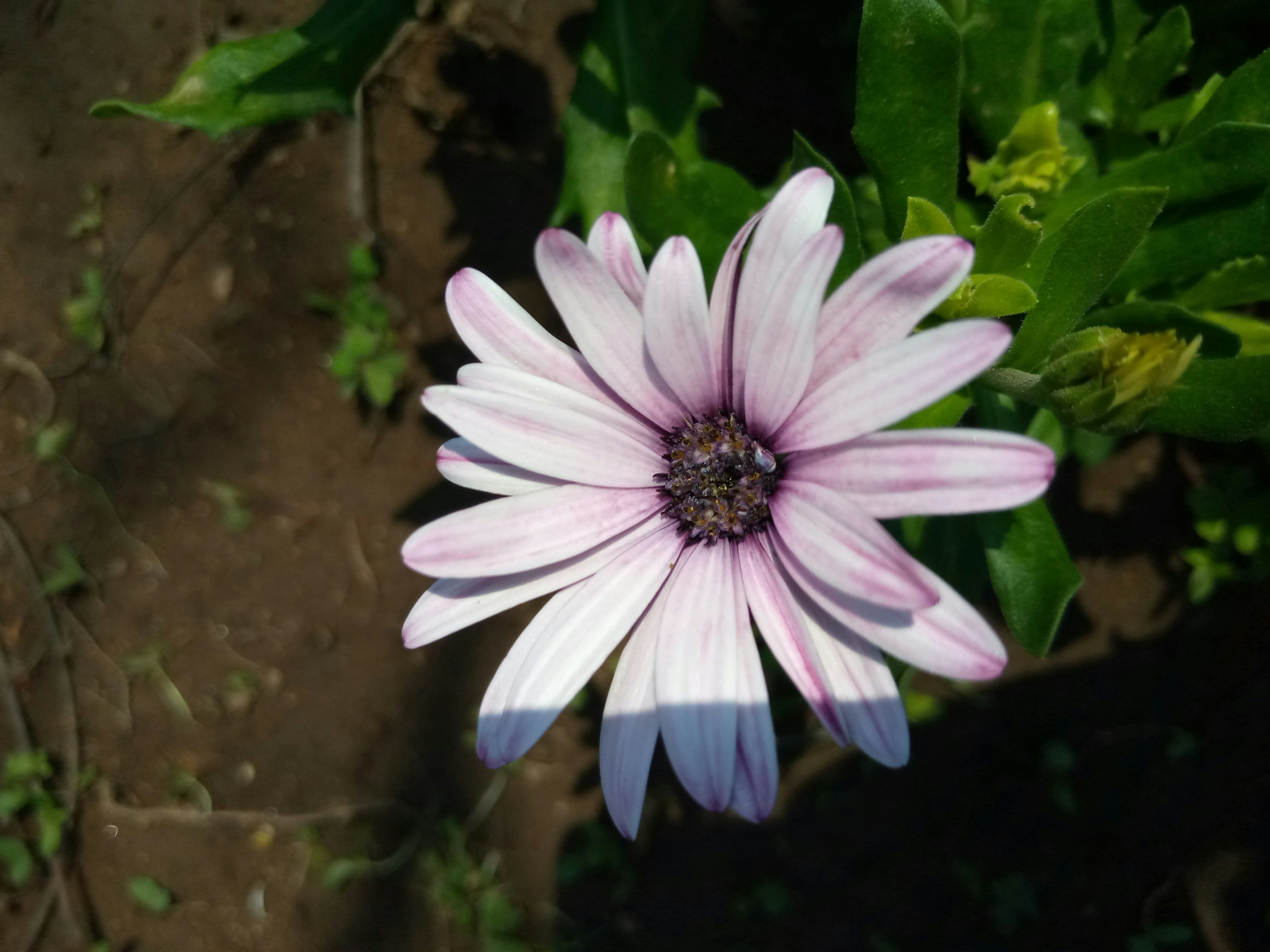 Allan Tasosa (@stasal) | Communauté photos Unsplash