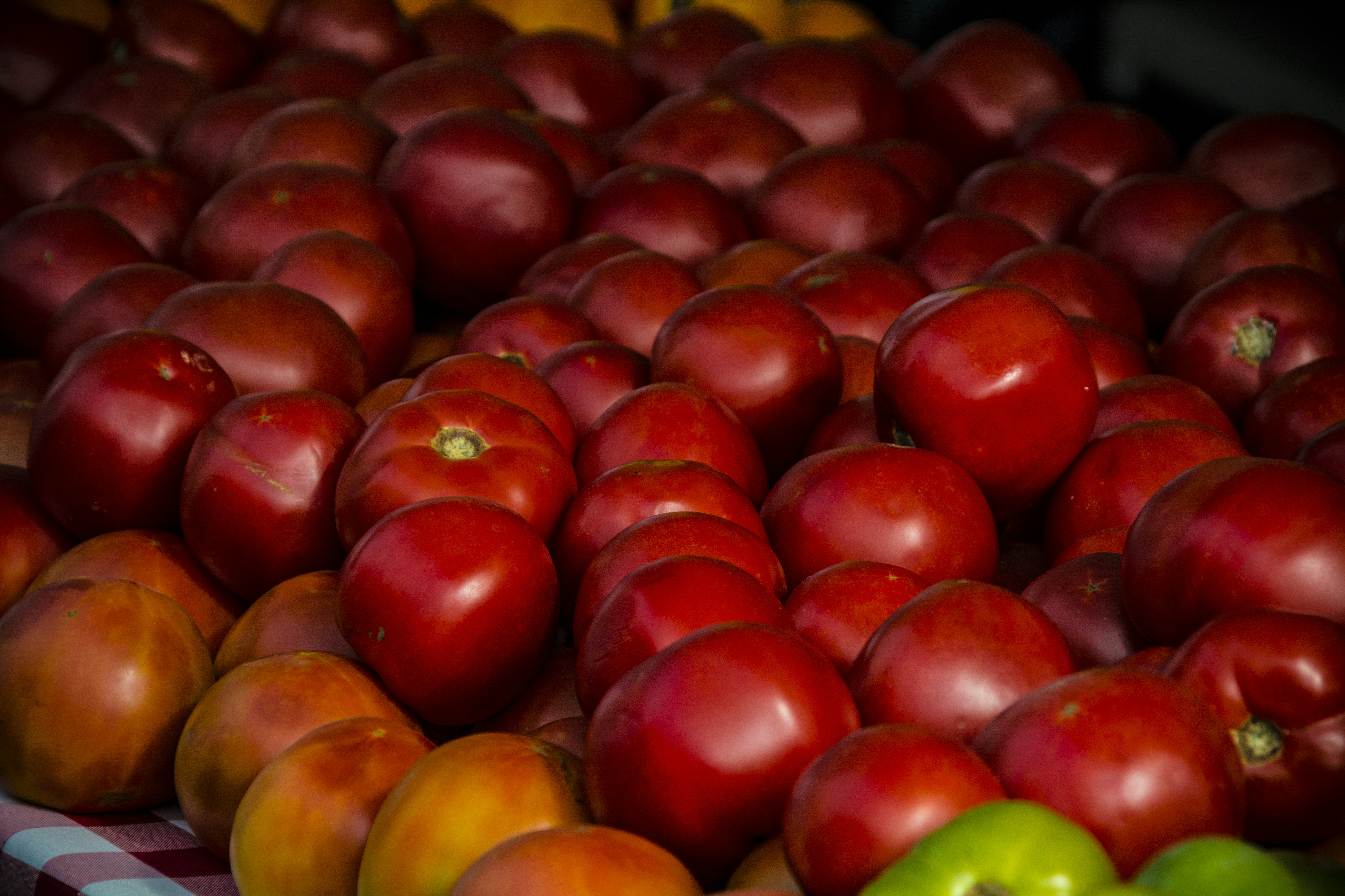 Red and yellow apple fruits photo – Free Red Image on Unsplash