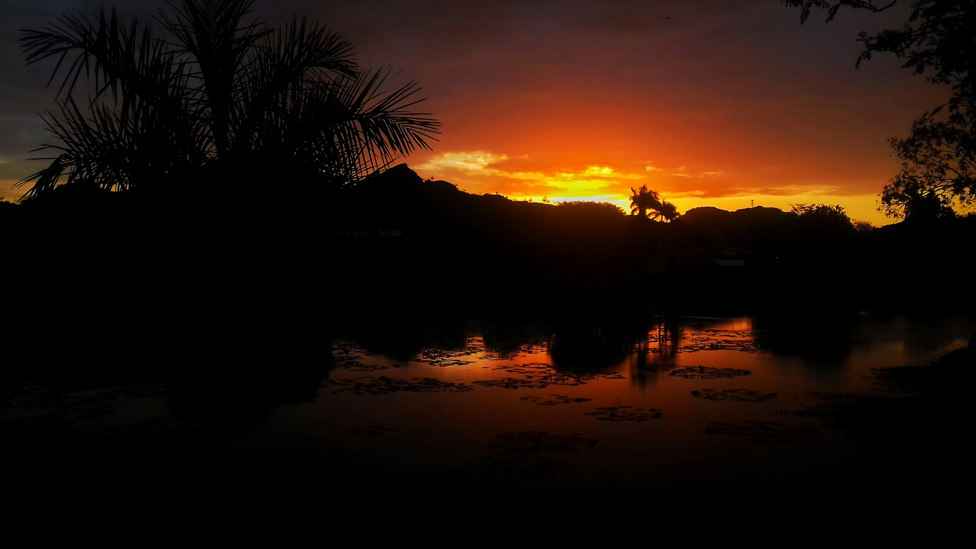 Den Derrick (@deekiee) | Unsplash Photo Community