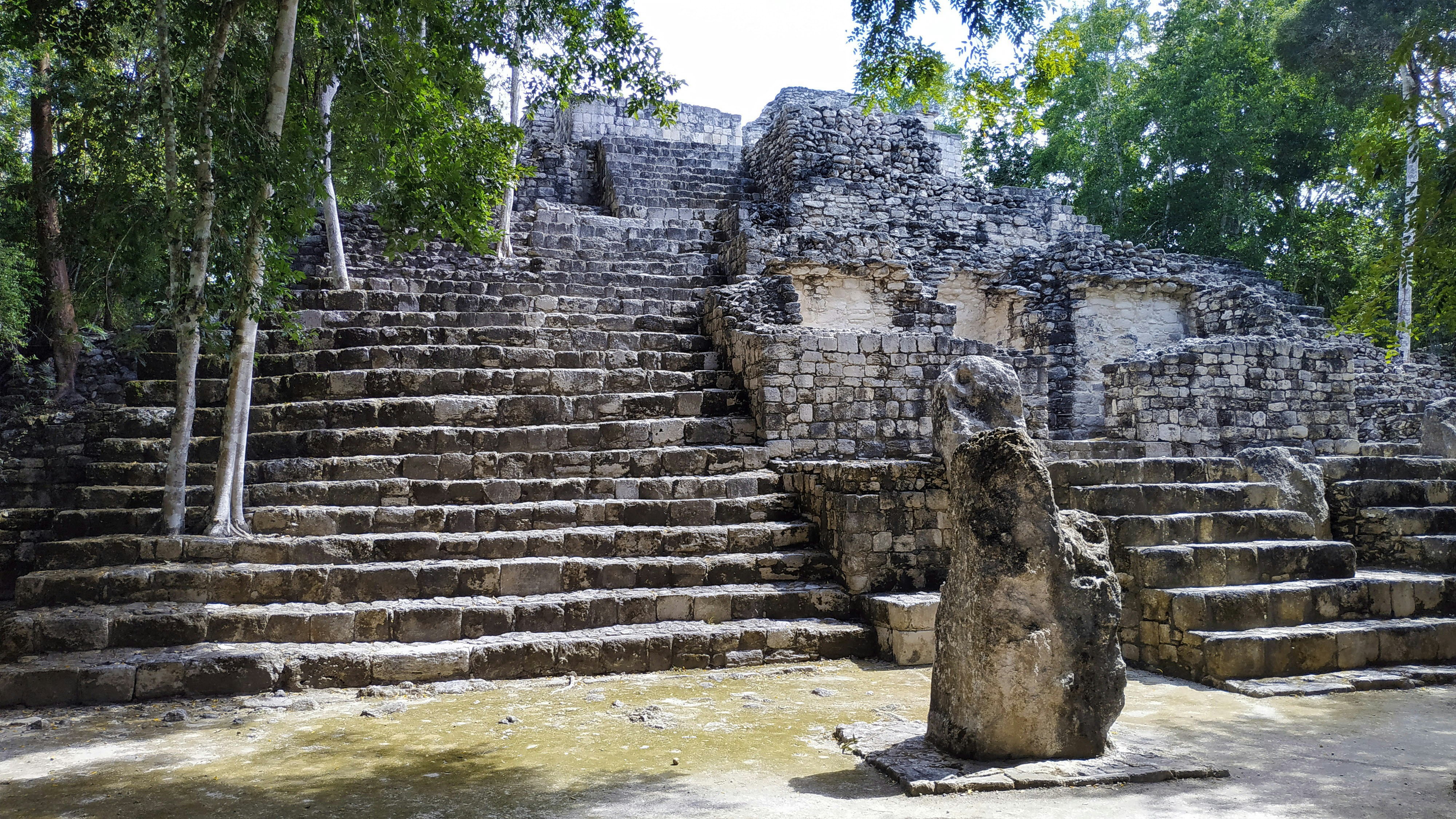 Ancient Steps of Calakmul Unveiled