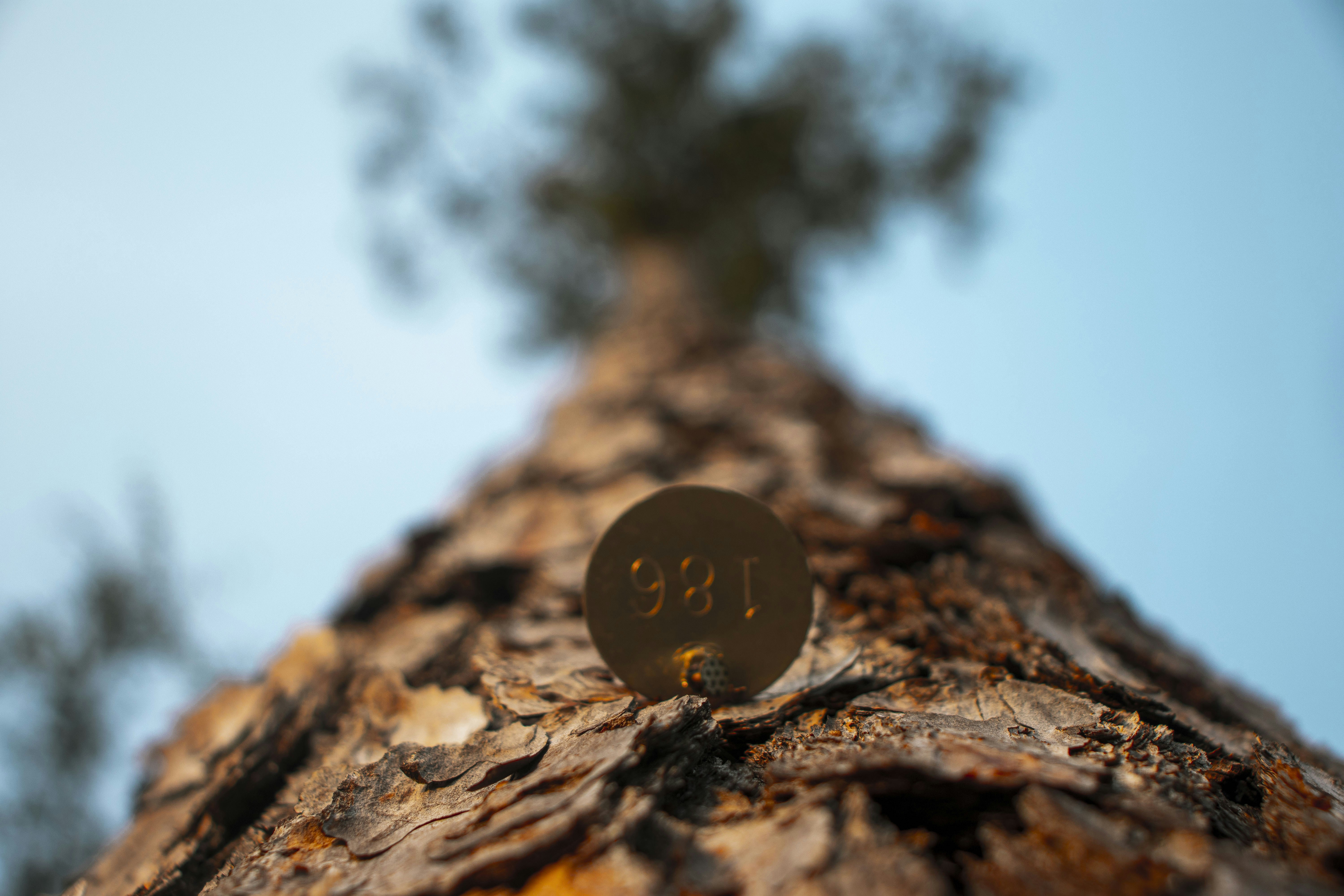 Xavier Wolf (@xavierwolf) | Comunidade de fotos da Unsplash