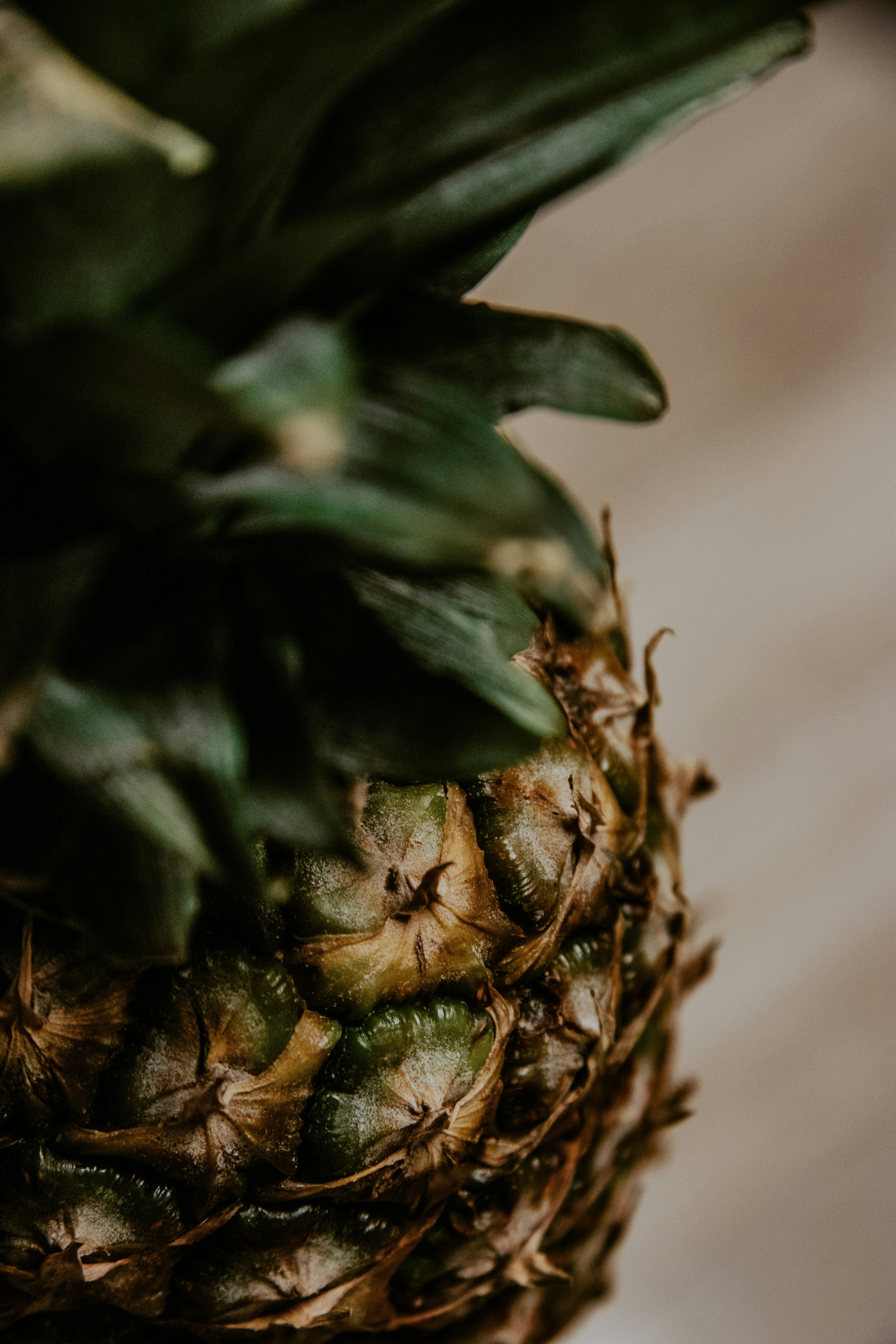 Armor of Pineapple Scales: A Macro Portrait of Texture and Crown