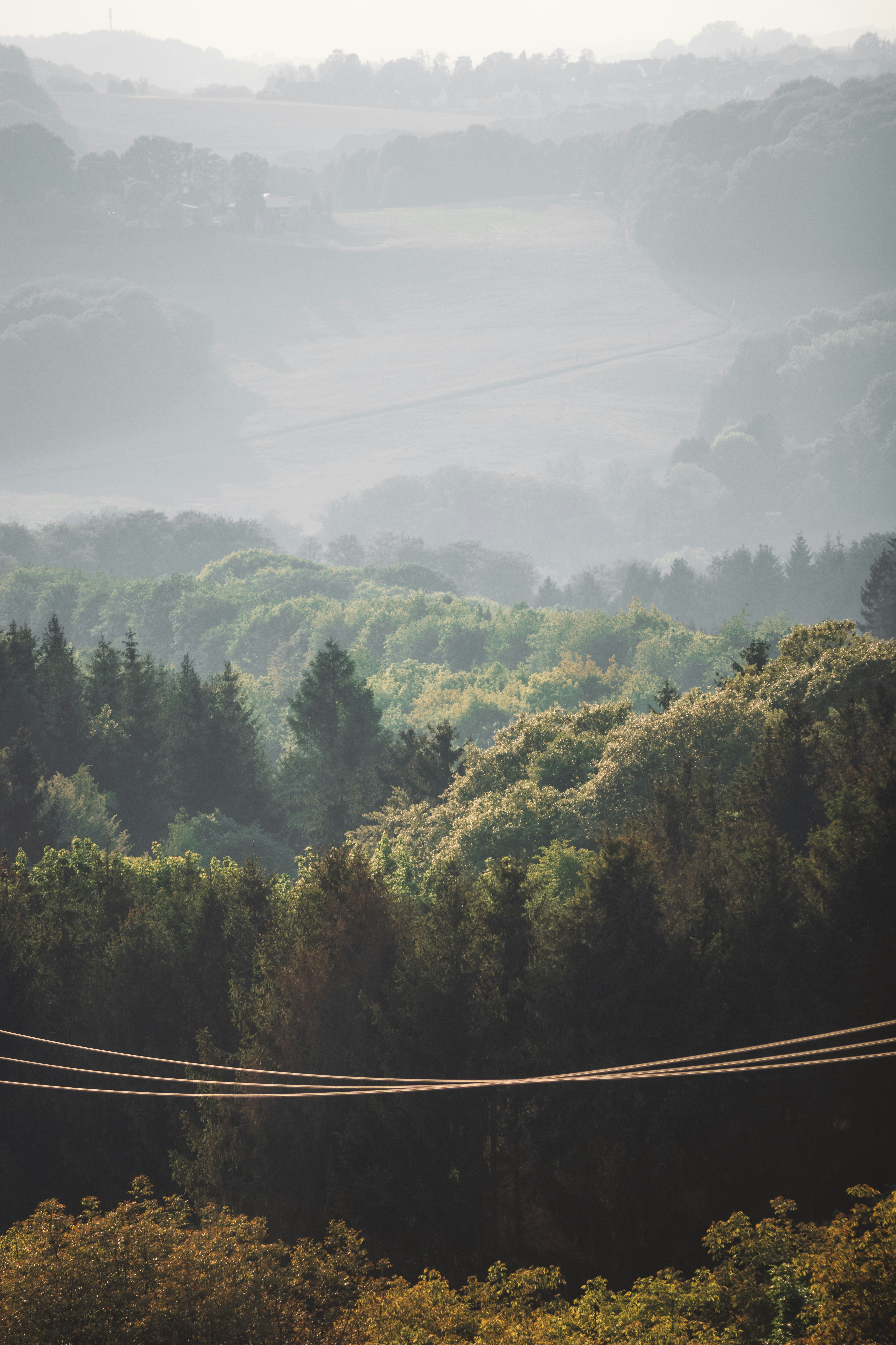 Green trees on mountain during daytime photo – Free Road Image on Unsplash