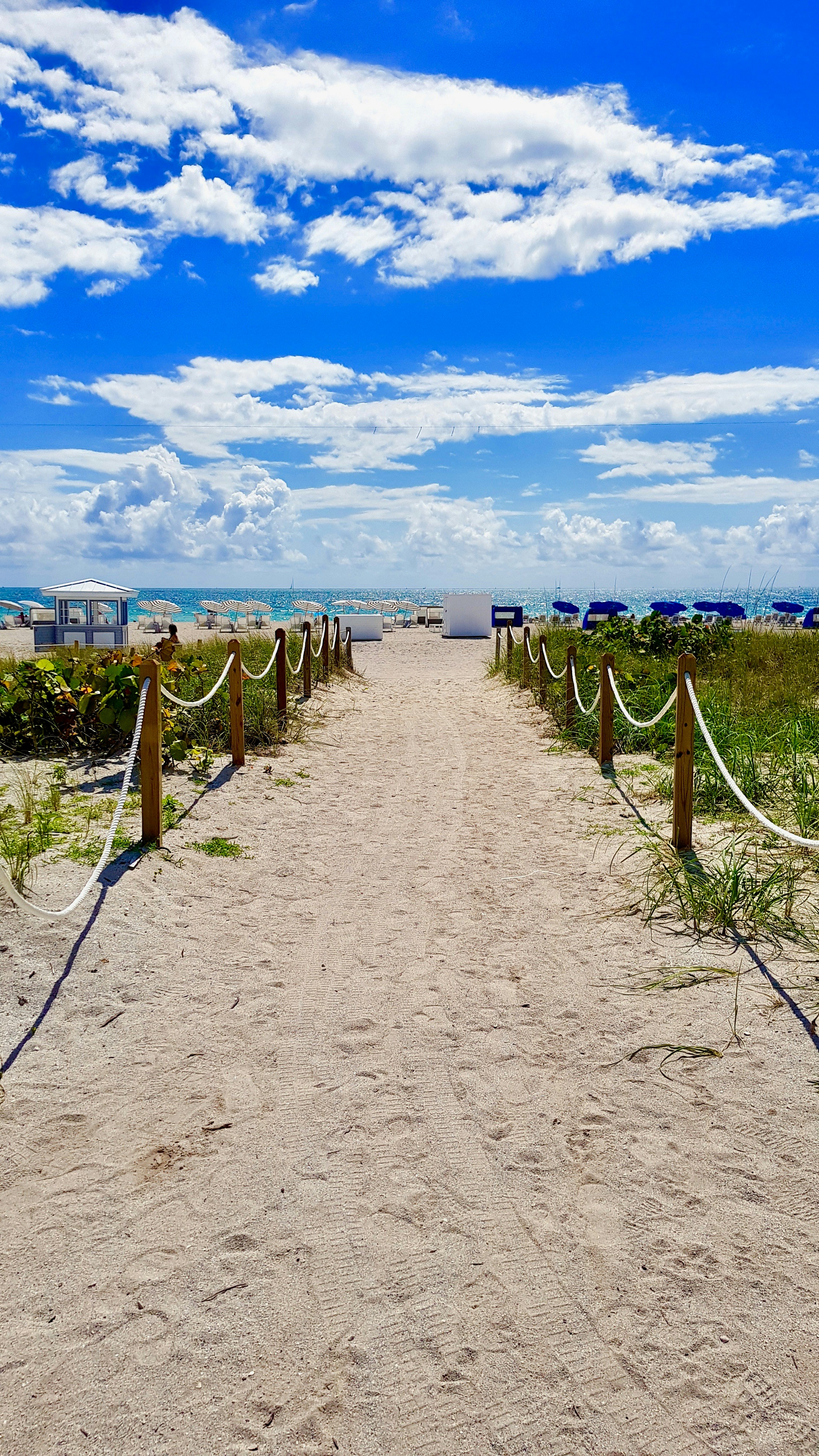 Path to the Blue Horizon: Rope-Guided Walk to the Sea