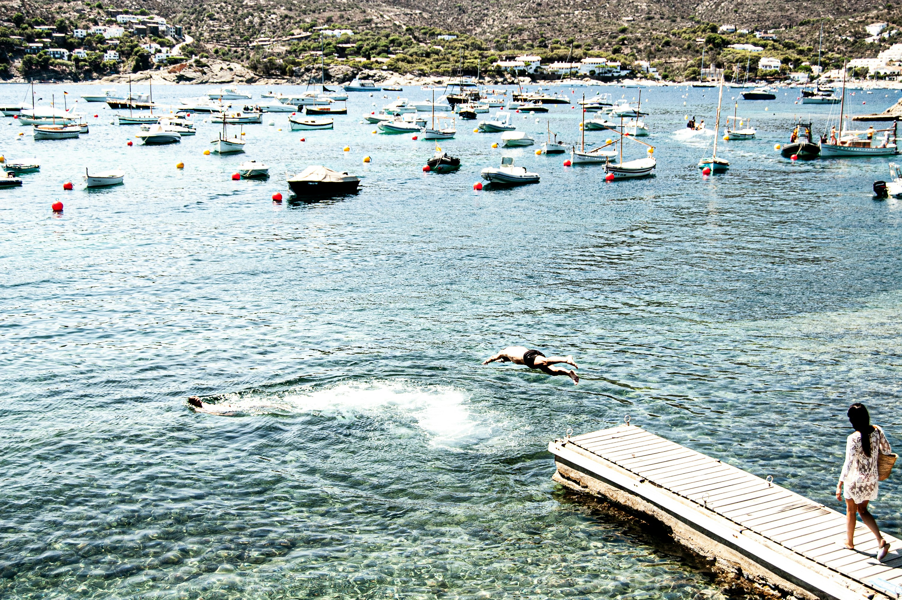 White and black bird flying over body of water during daytime photo ...