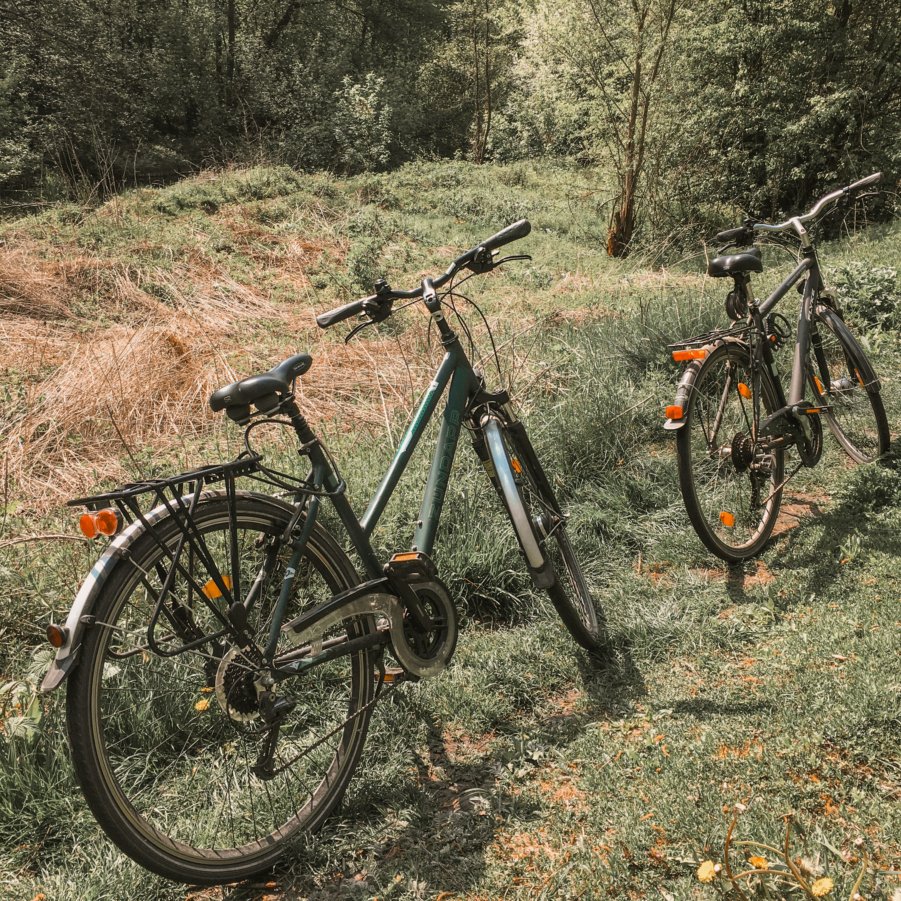 Black and gray mountain bike on brown grass field photo – Free Brown ...