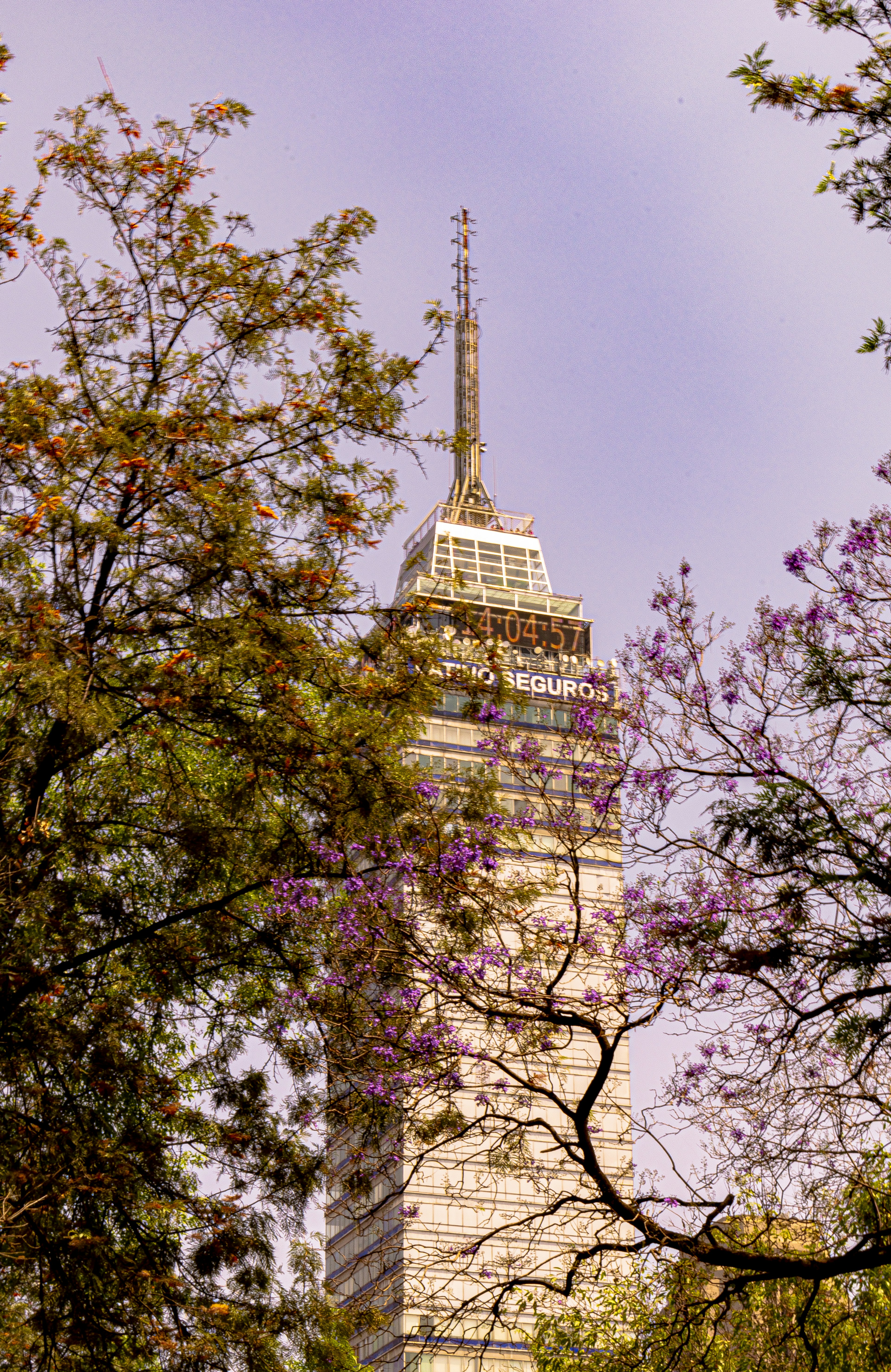 Tower of Time: A Glimpse Through Blooming Canopy