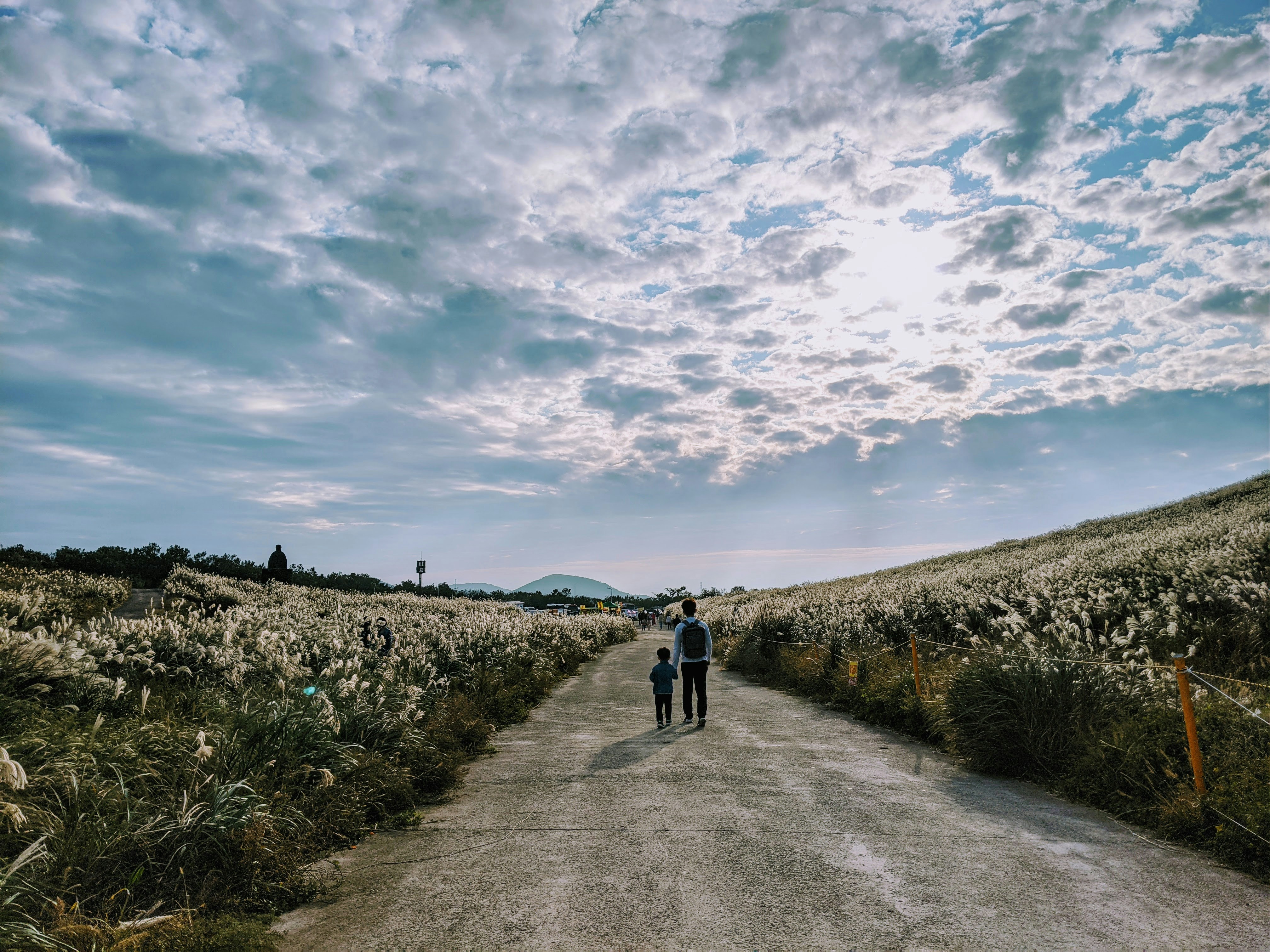 Person in black jacket walking on gray pathway during daytime photo ...
