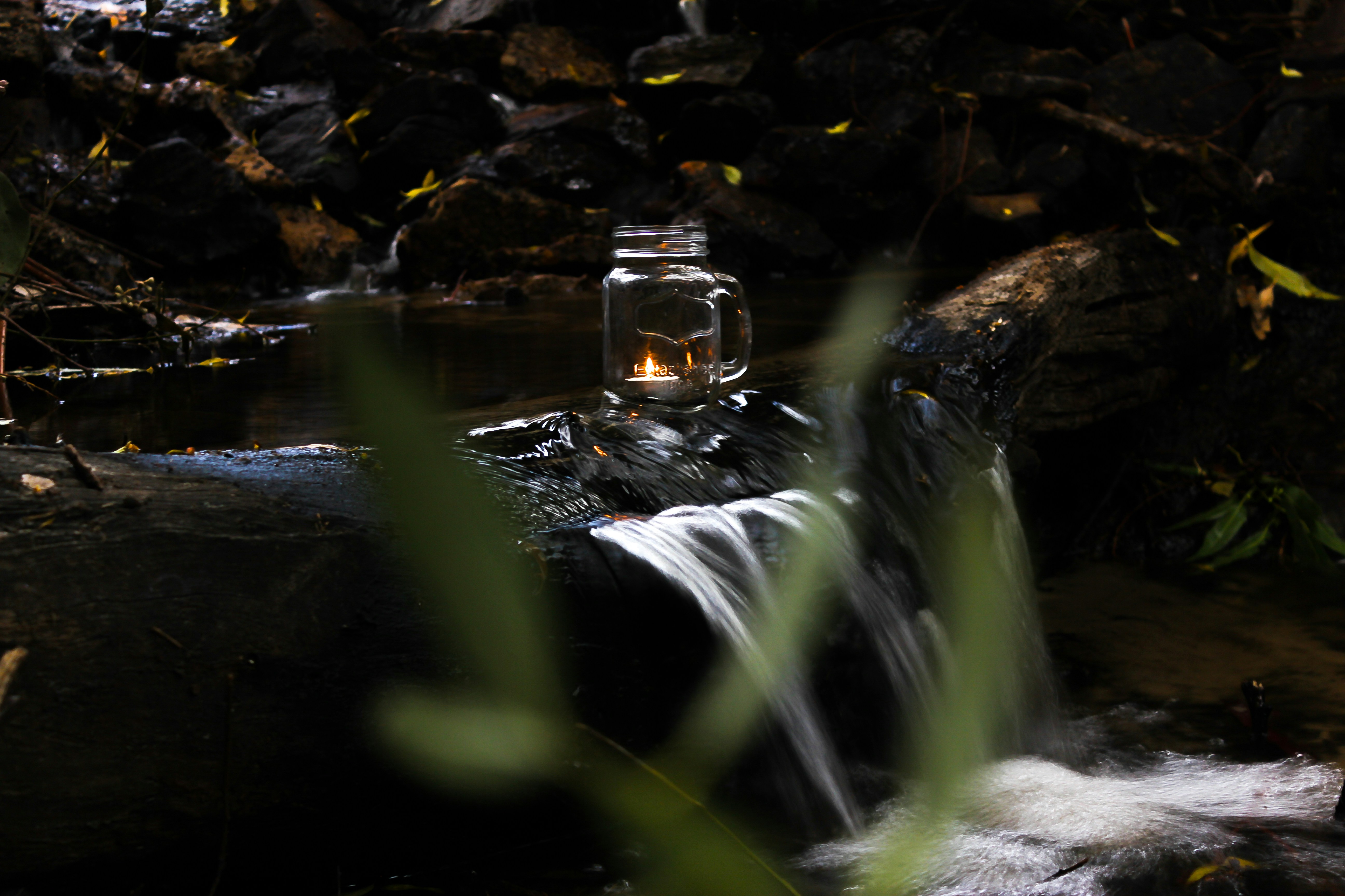 Lantern on Moss: A Quiet Glow in a Forest Stream