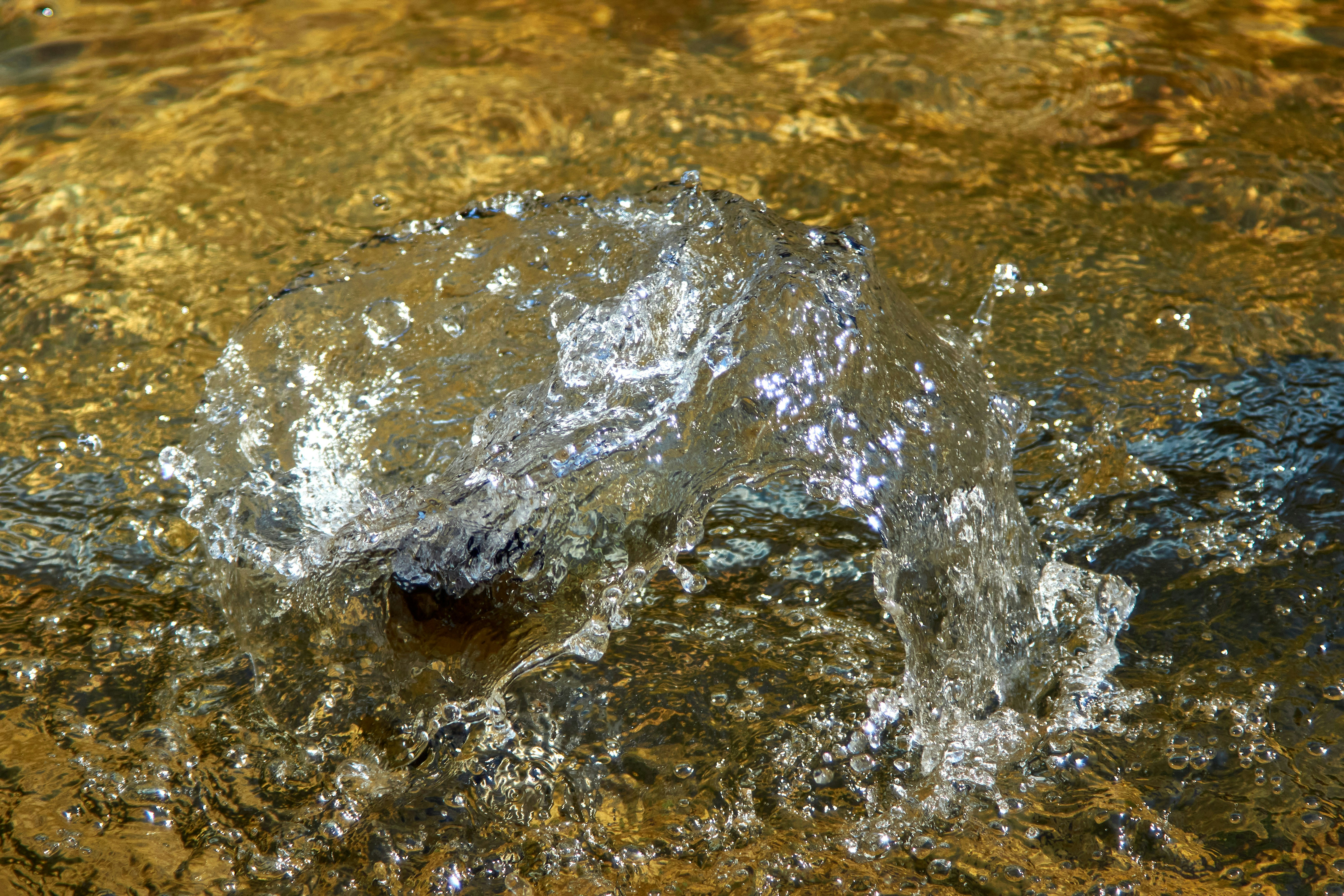 Water splashing dynamically against a shimmering golden backdrop, capturing the essence of movement and fluidity.