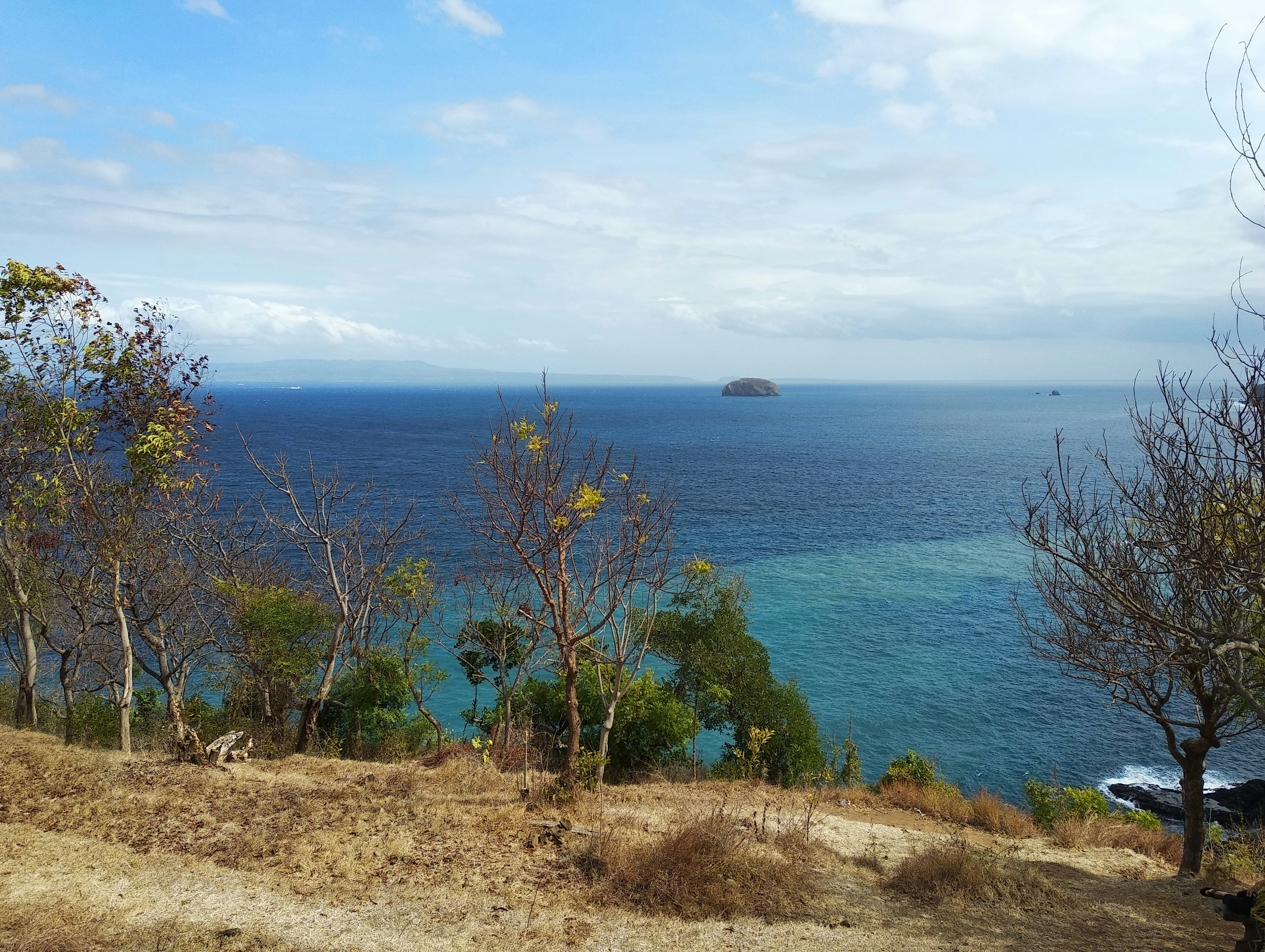 Serene ocean view with sparse trees on a hillside under a partly cloudy sky.