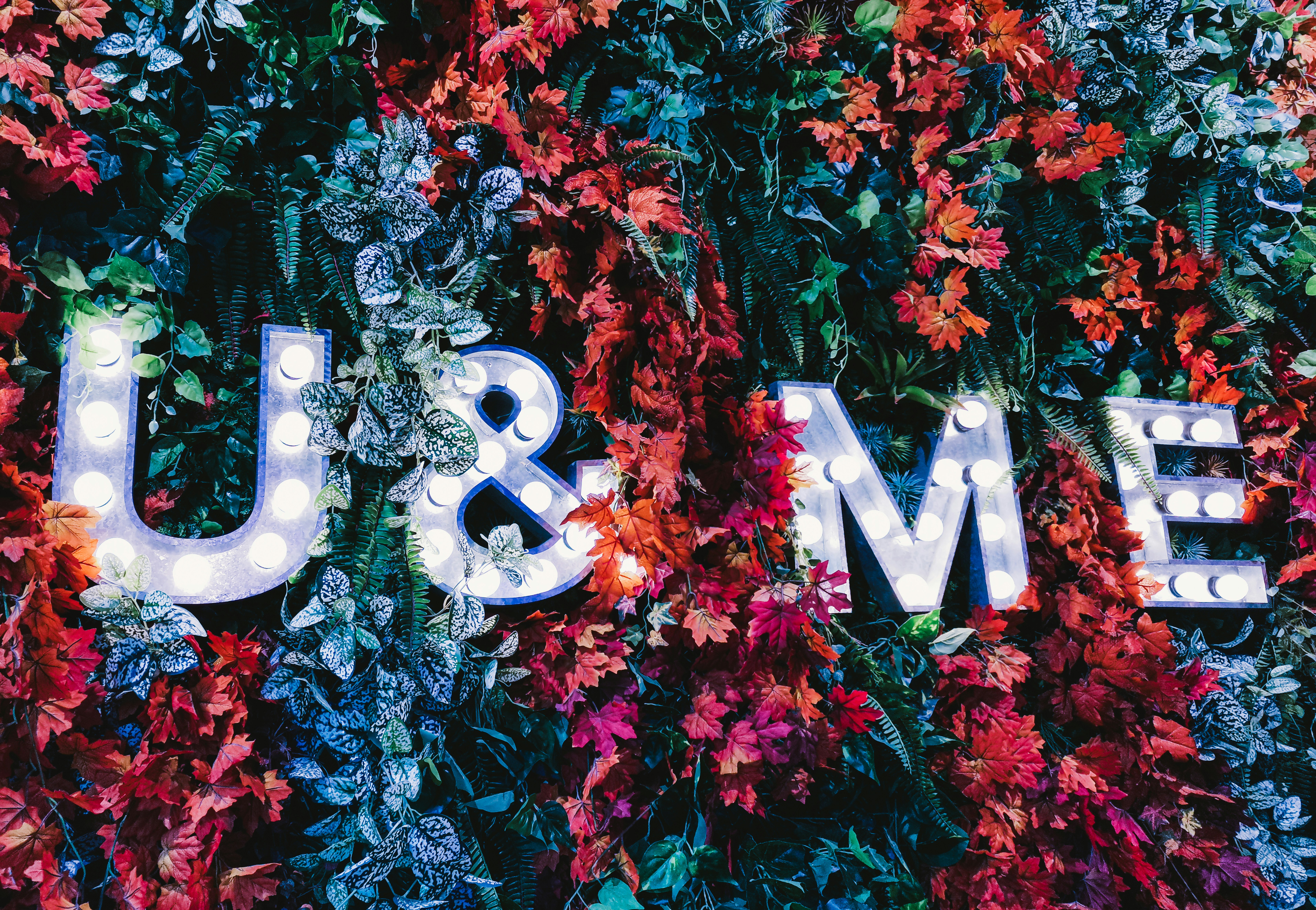 Let's go Together (@lets_go_together) | Komunitas Foto Unsplash