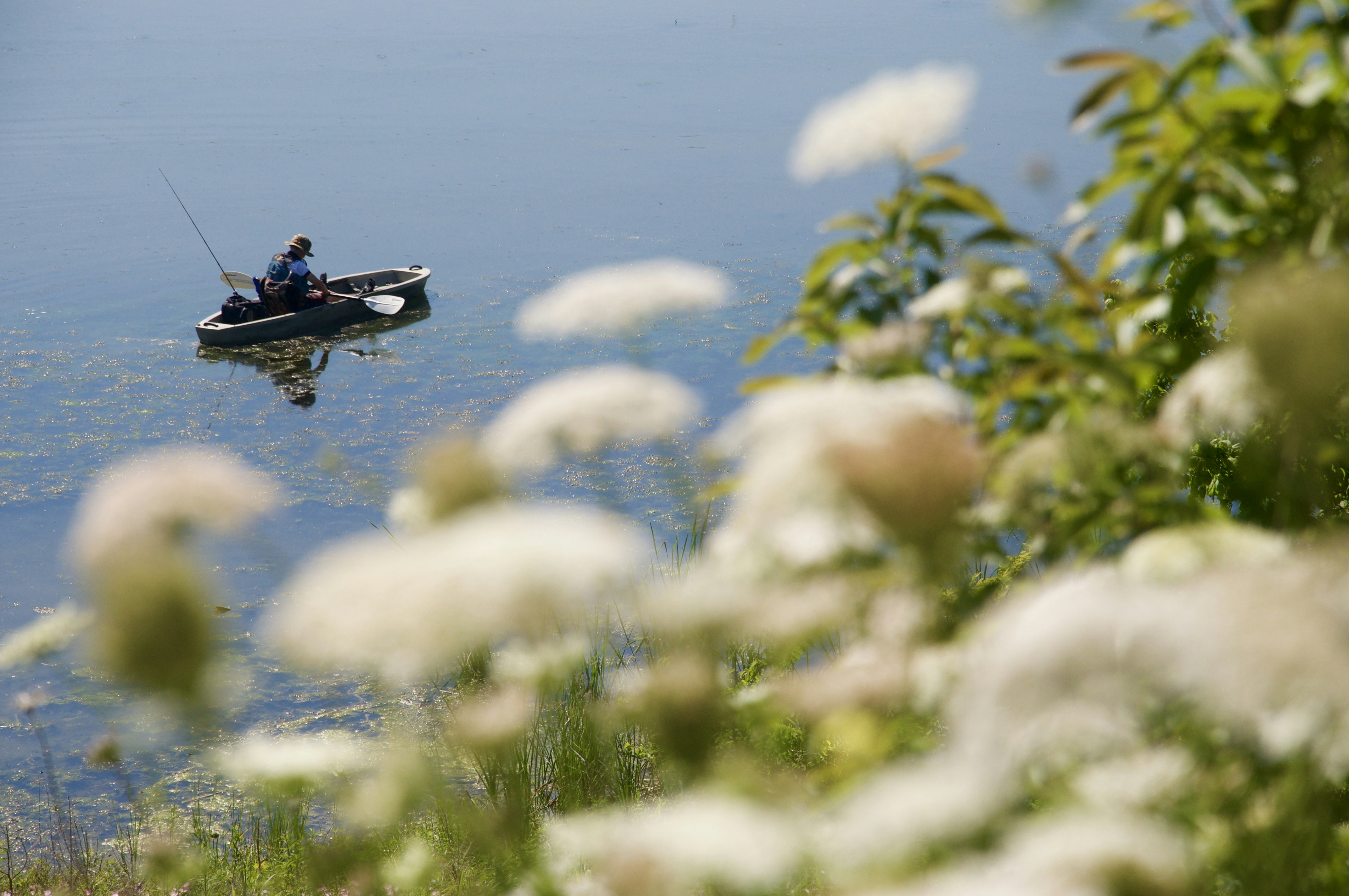 Solo fisherman in a small boat on a calm lake, framed by out-of-focus wildflowers.
