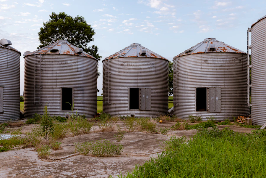 Weathered grain silos stand in a field, surrounded by overgrown grass and a cracked concrete base, hinting at a forgotten agricultural past.