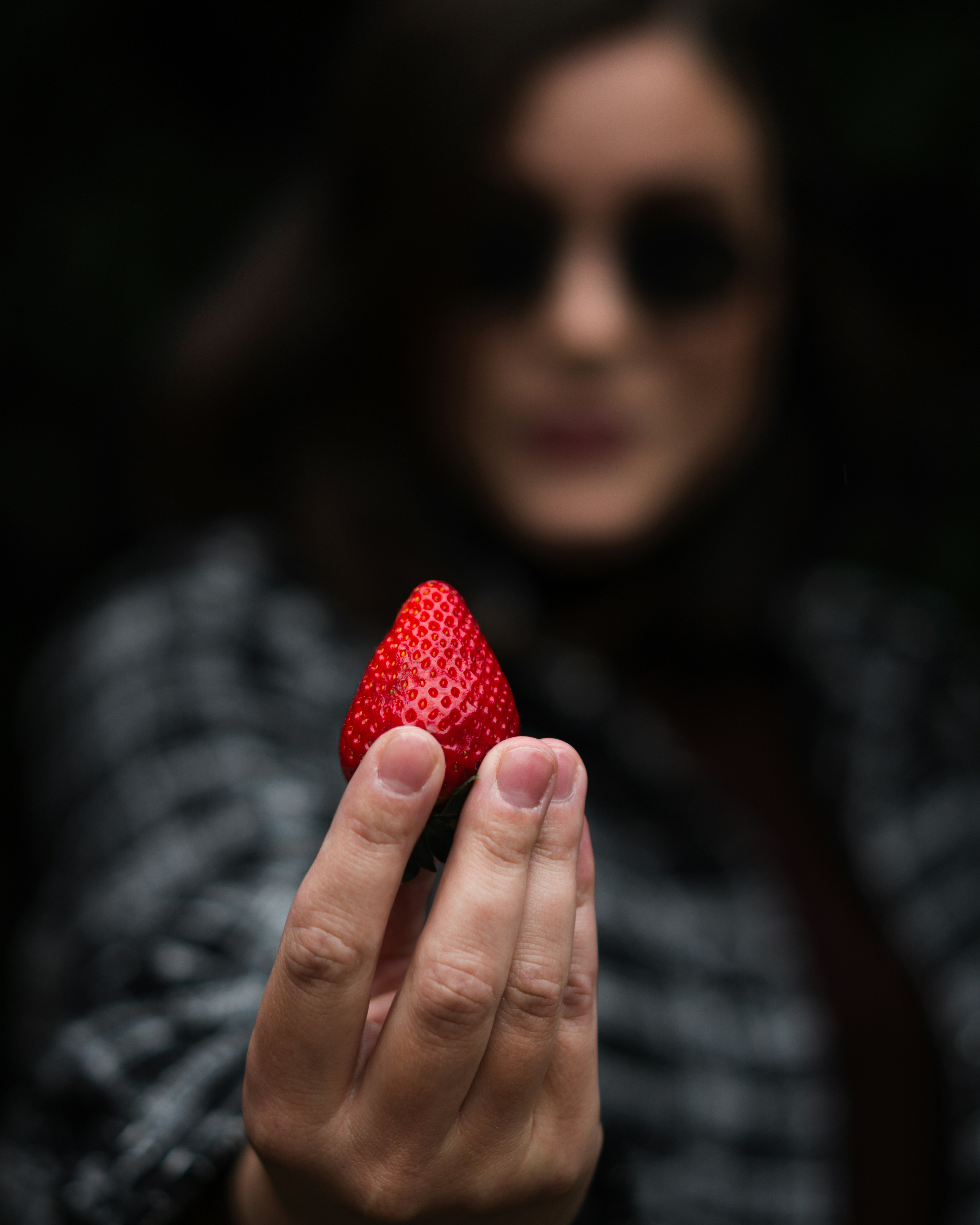 Crimson in Focus: A Strawberry Centerstage Against a Soft, Shadowed Silhouette