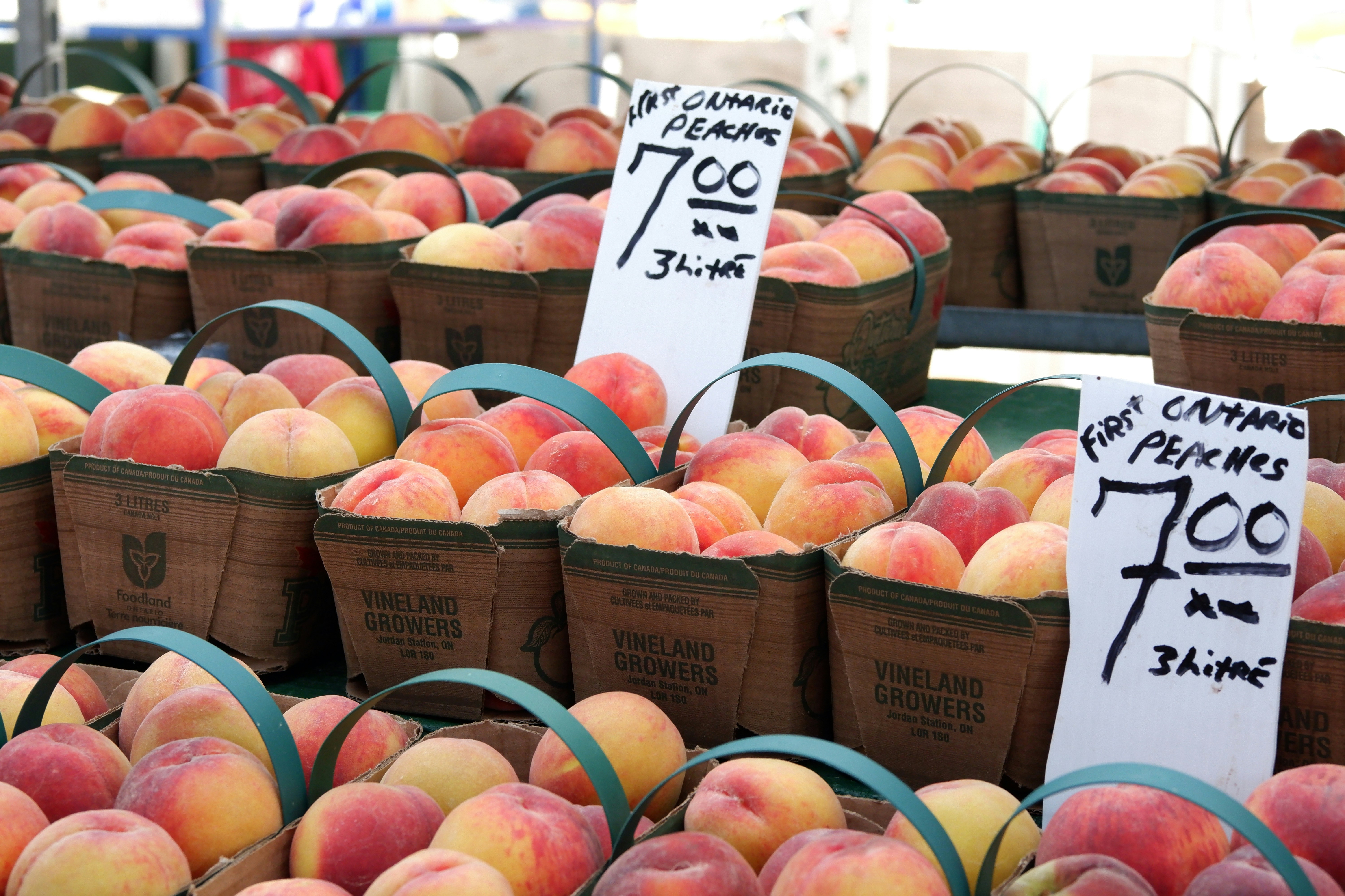 Baskets overflowing with fresh peaches at a vibrant market stall, showcasing seasonal produce with price signs prominently displayed.