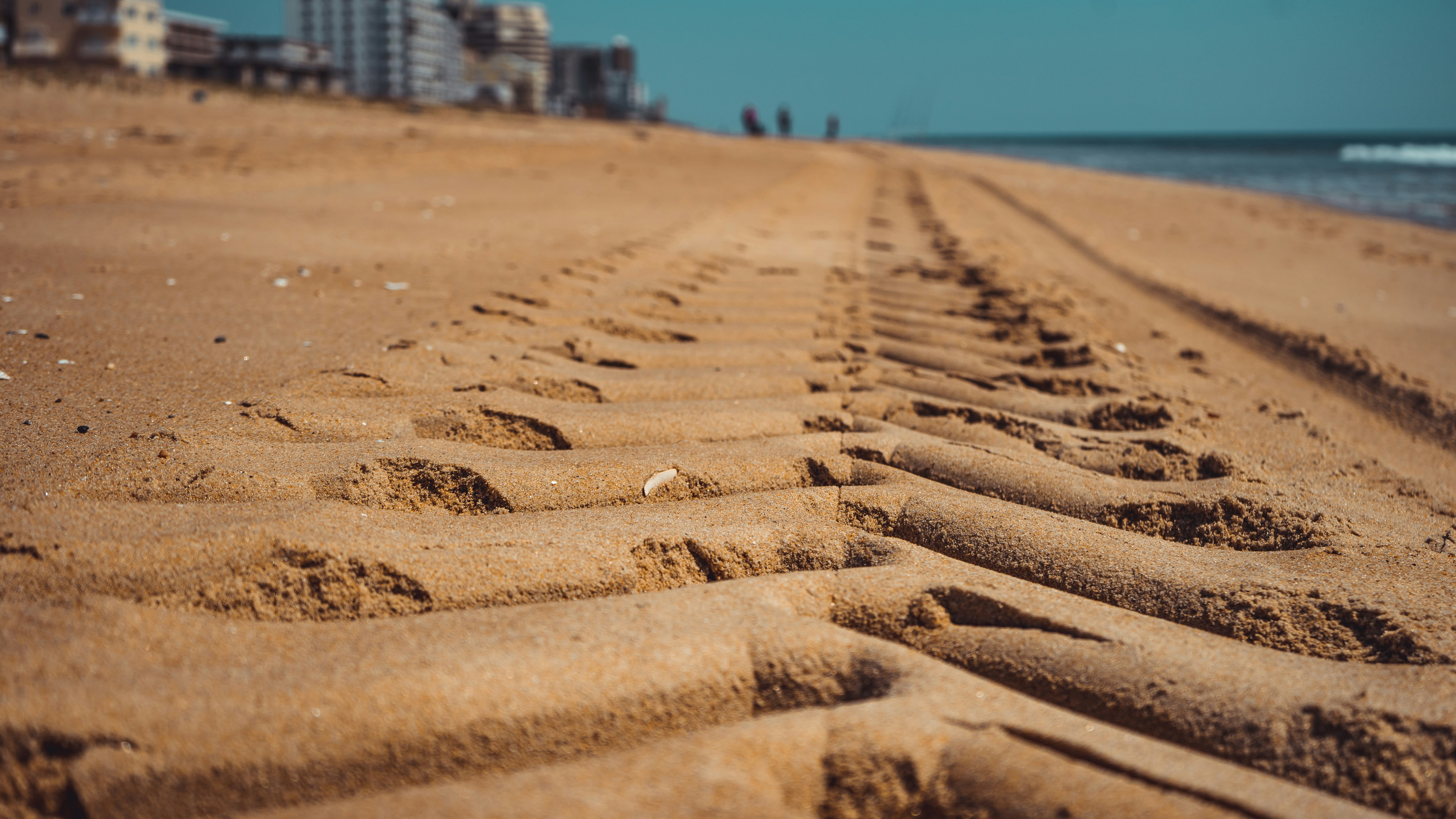 Horizon Convergence: Tracks Carving a Path Across Sunlit Sand