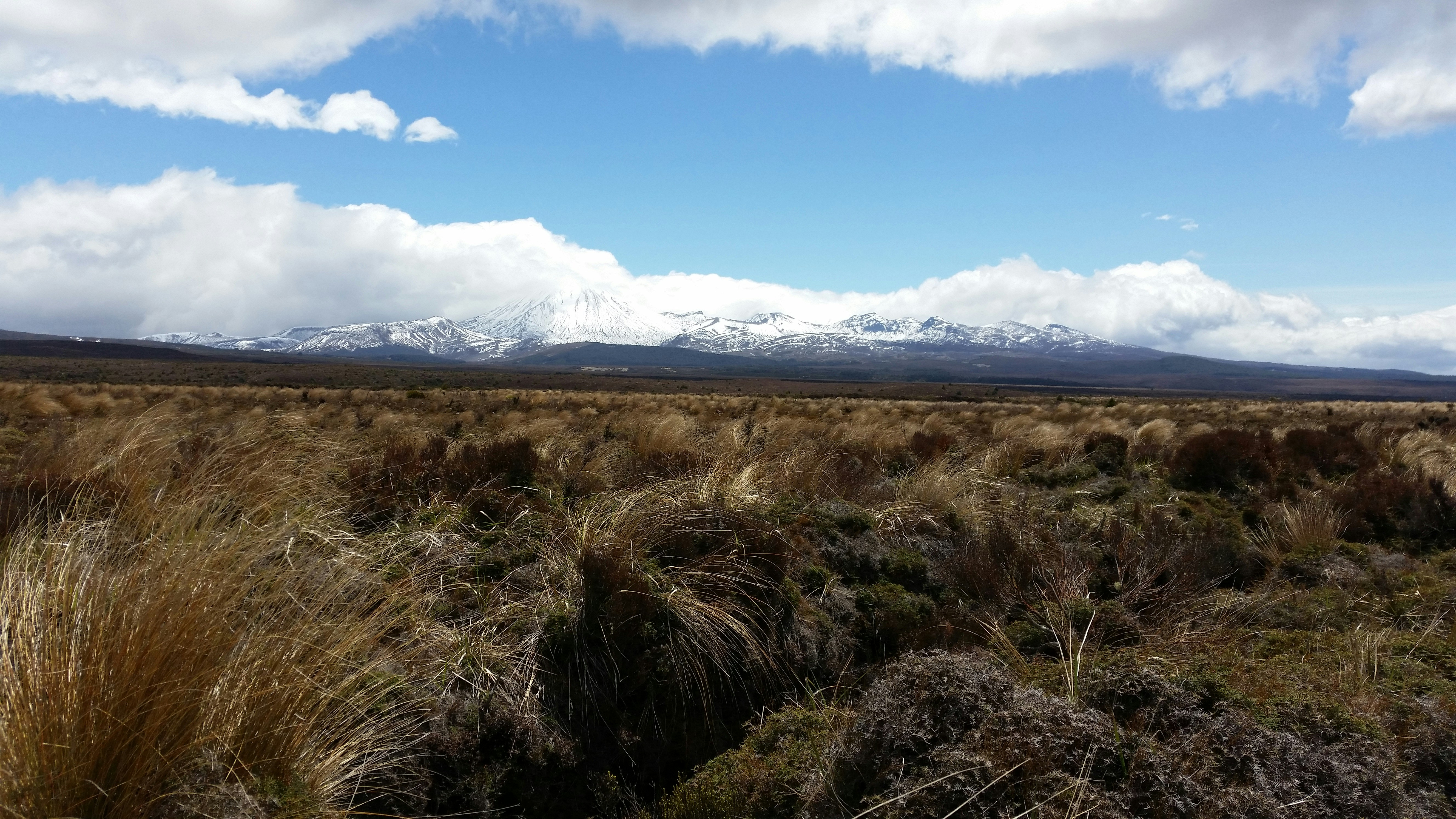 Vast grasslands stretch towards distant snow-capped mountains under a partly cloudy sky.