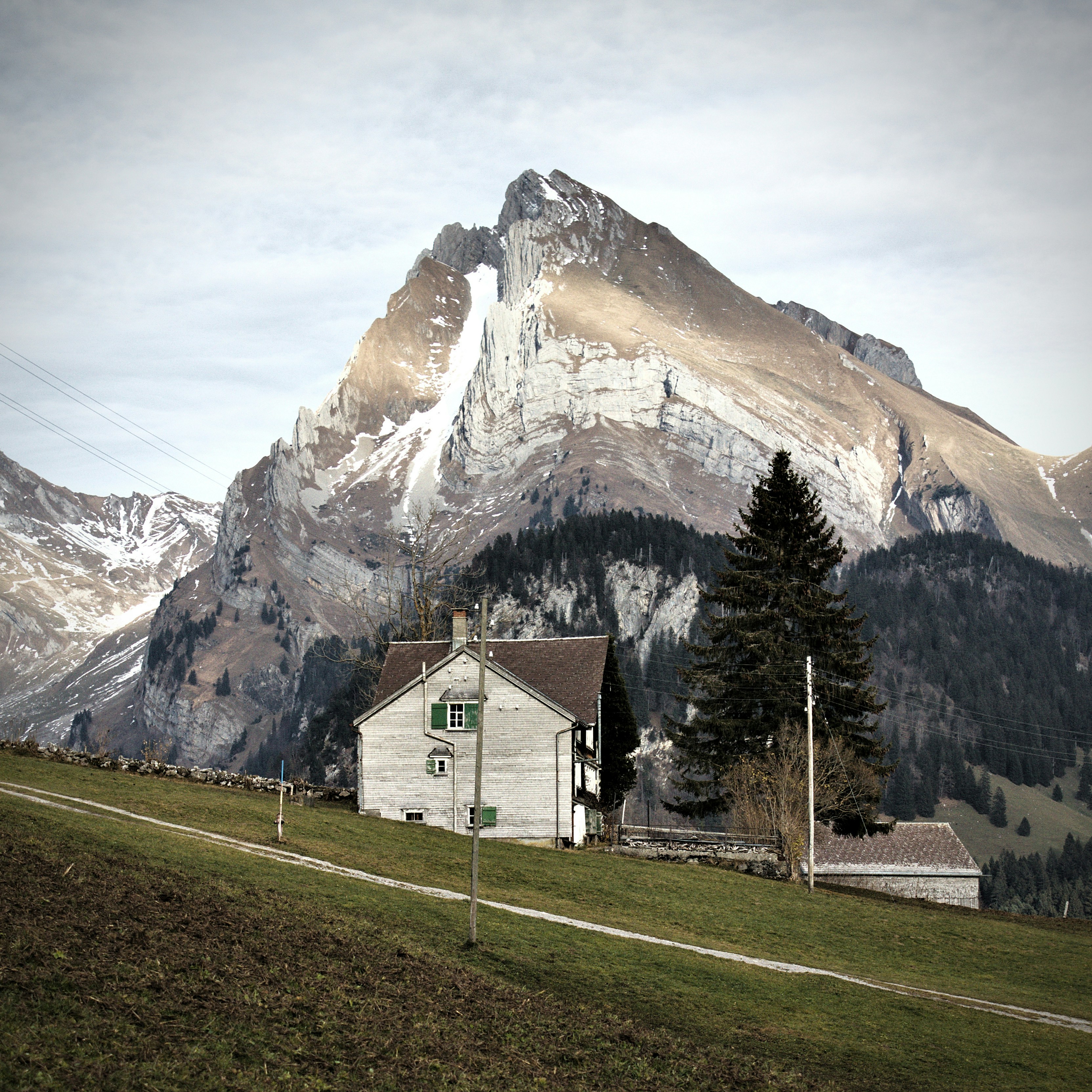 Daniel Münch (@dahaniel) | Comunidade de fotos da Unsplash