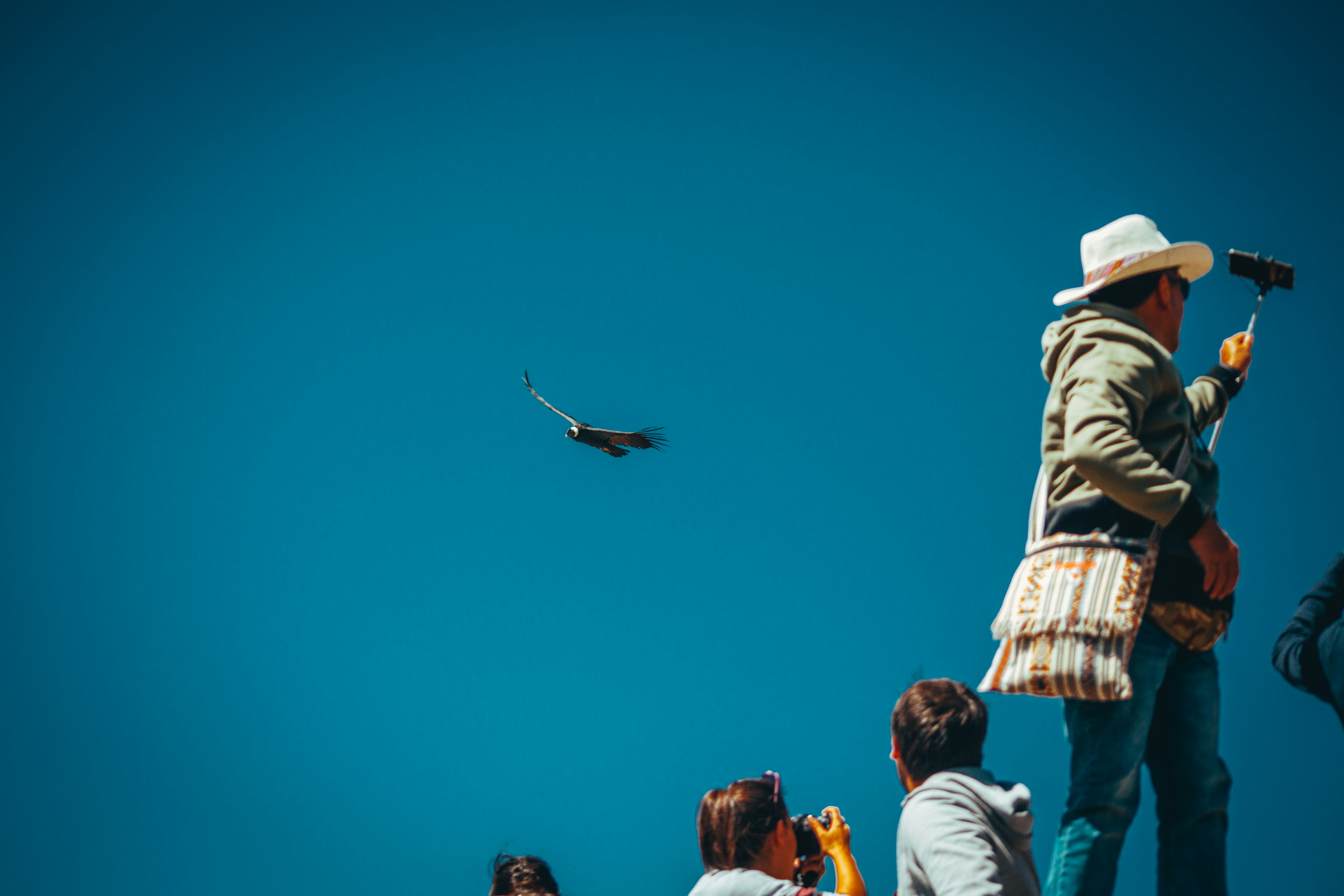 People Flying Pictures | Download Free Images on Unsplash