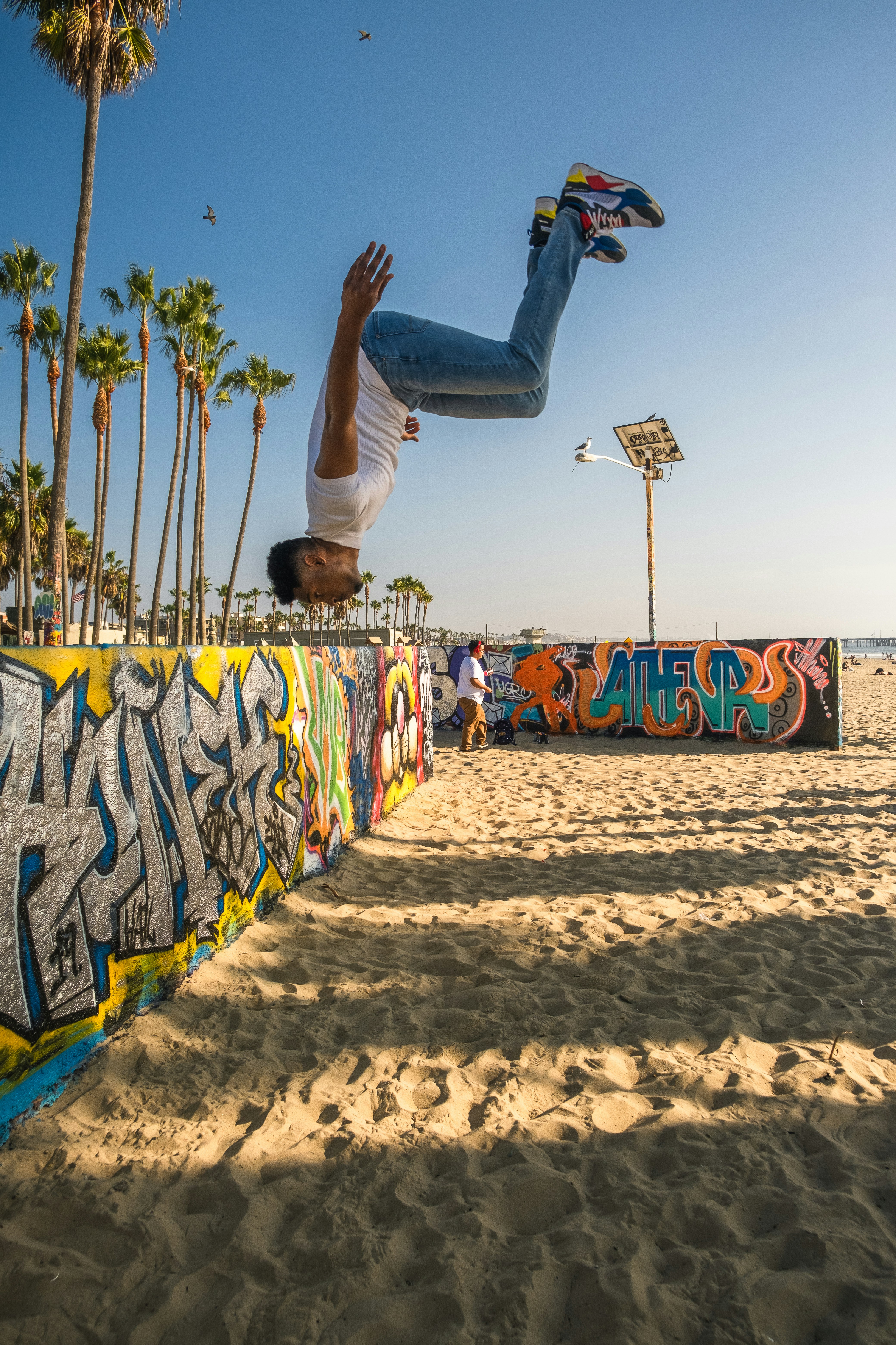 Aerial Flip Over Graffiti Beach Wall Under Palm Shadows