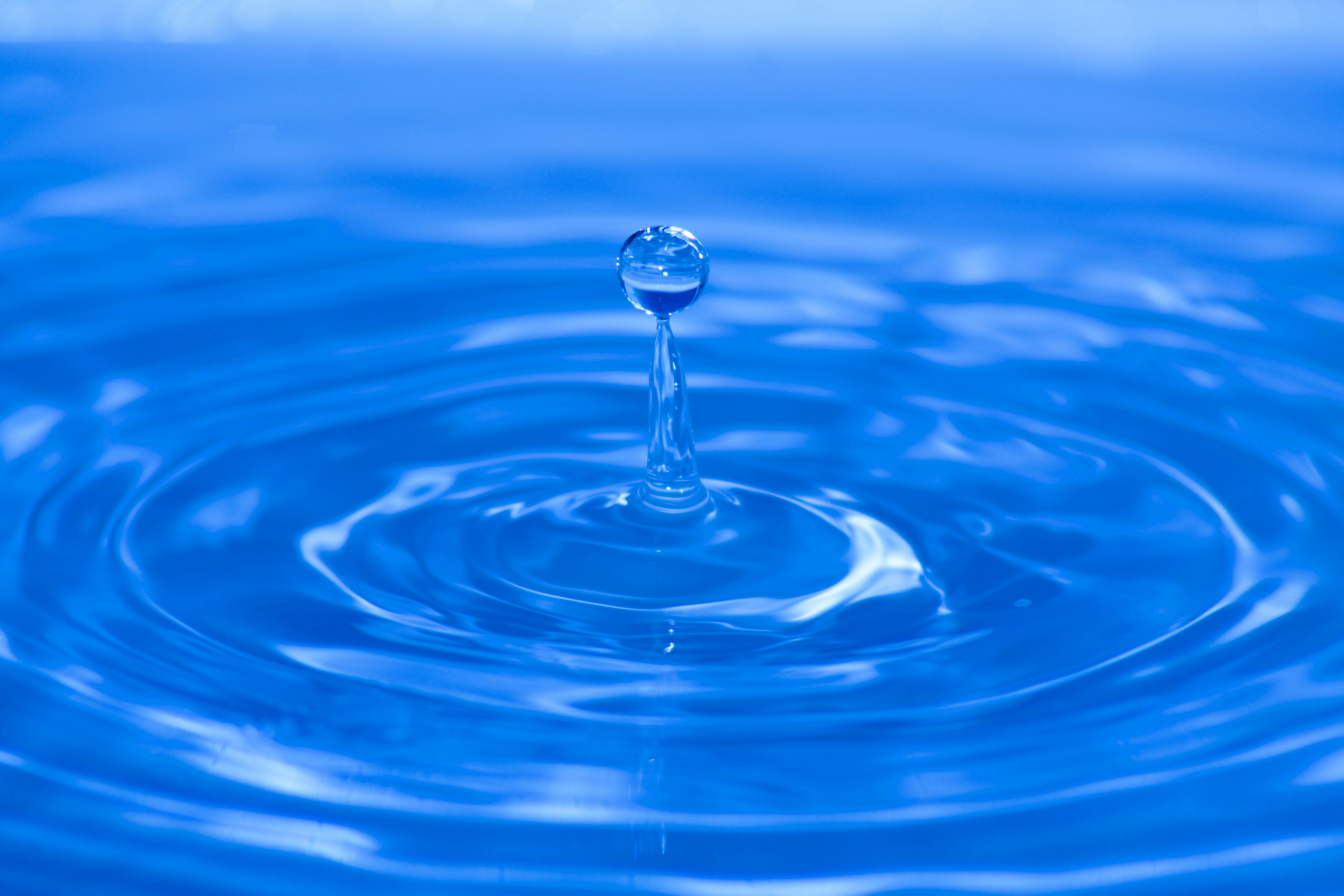 Roman Schmitz (@schm1tz1) | Unsplash Photo Community