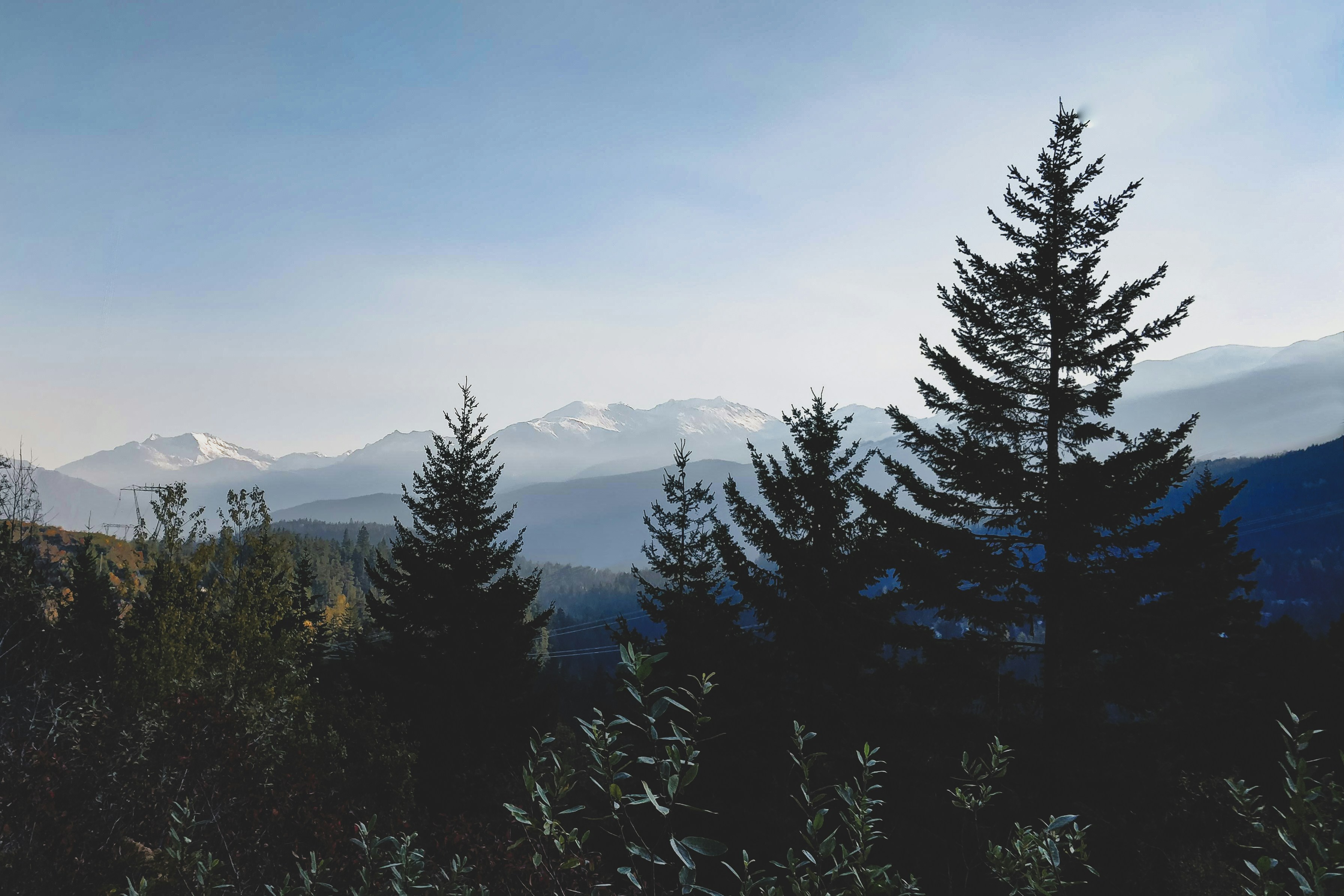 Silhouetted trees stand against a backdrop of mist-covered mountains under a clear sky.
