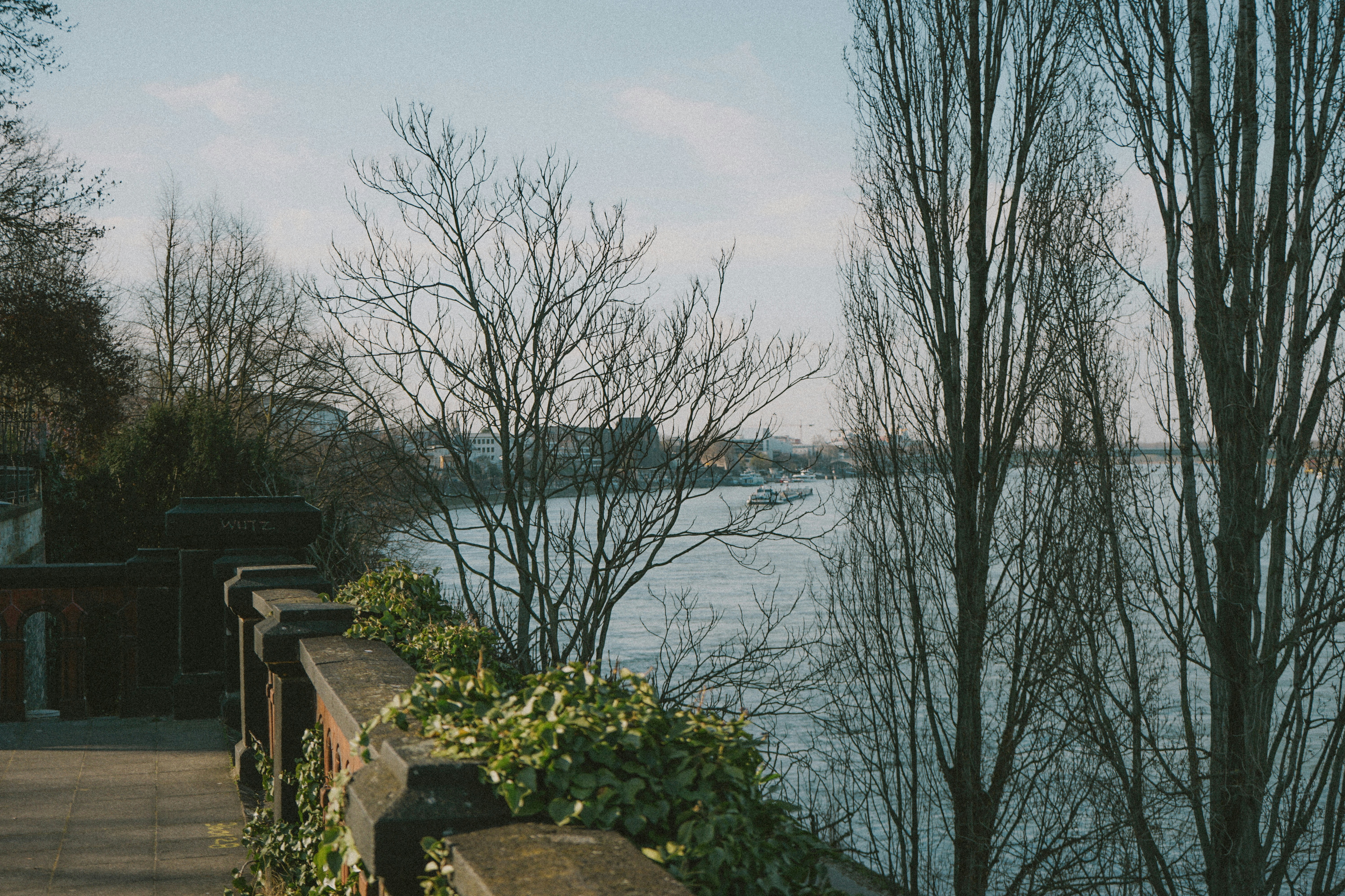 Bare trees lining a riverbank with a stone pathway in the foreground under a clear sky.