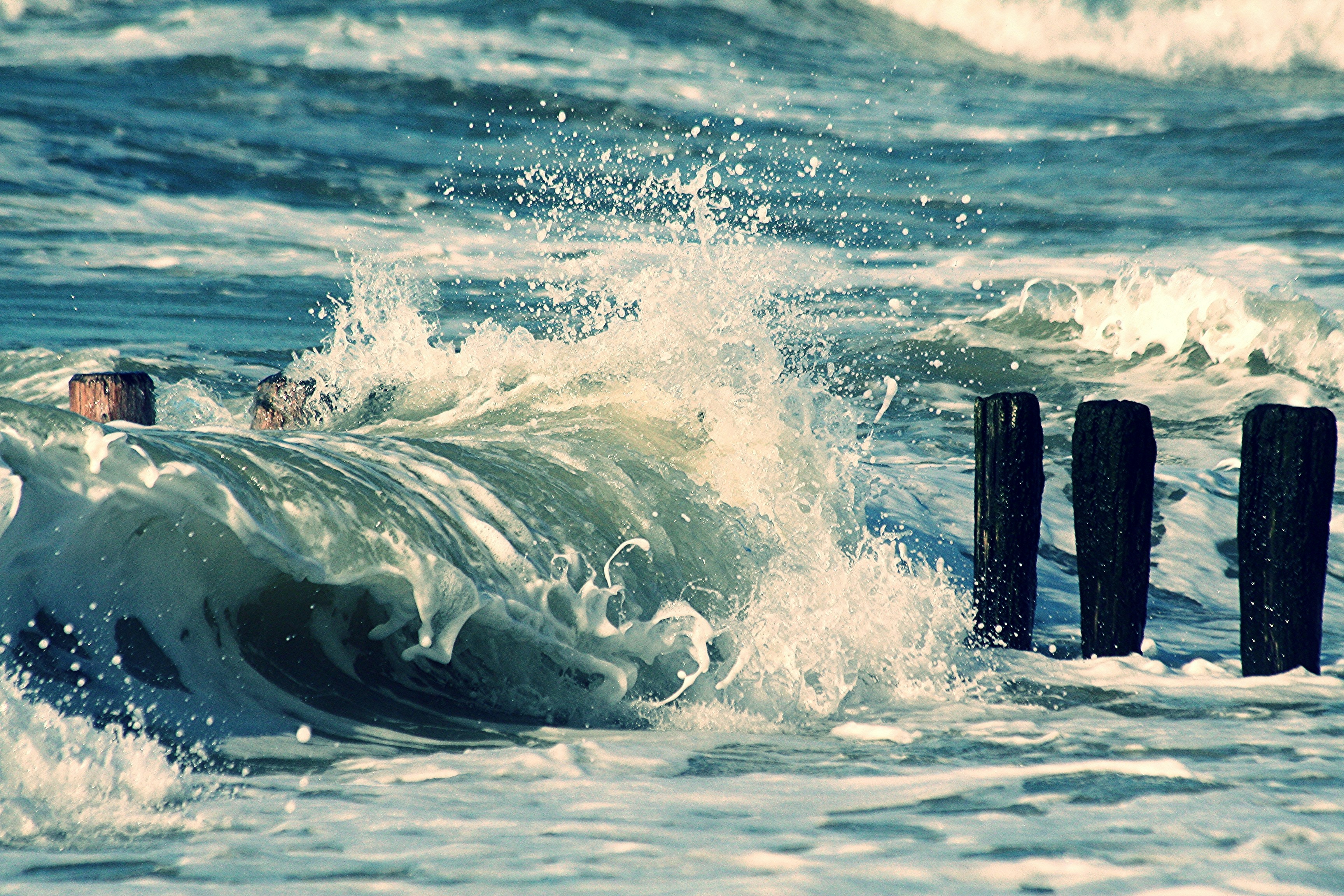 Surge by the Groynes: A curling wave closes in on weathered pilings