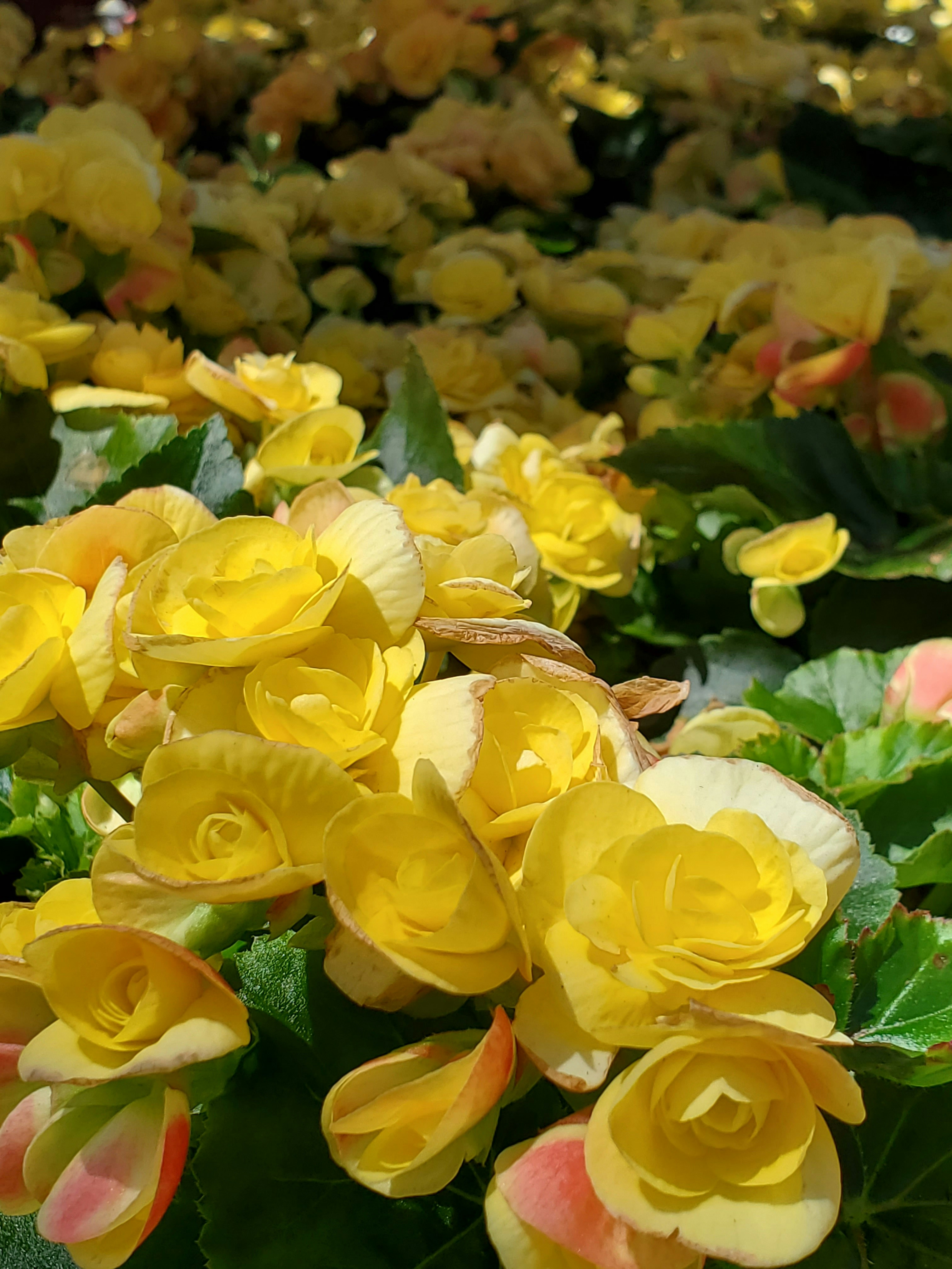 Karolina Bobek (@karolinabobek) | Unsplash Photo Community