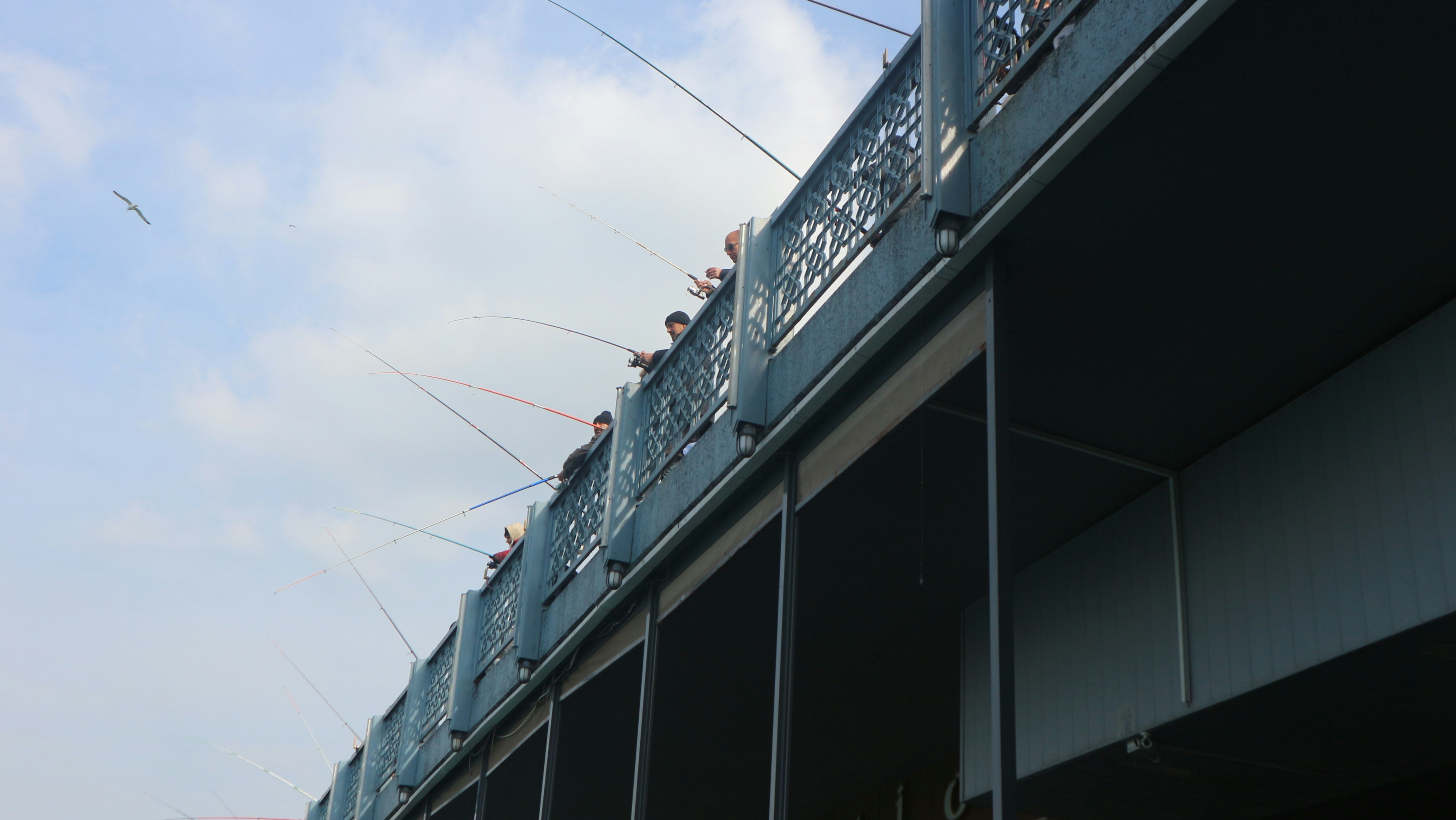 Lines in the Wind: Anglers on a Blue Steel Bridge