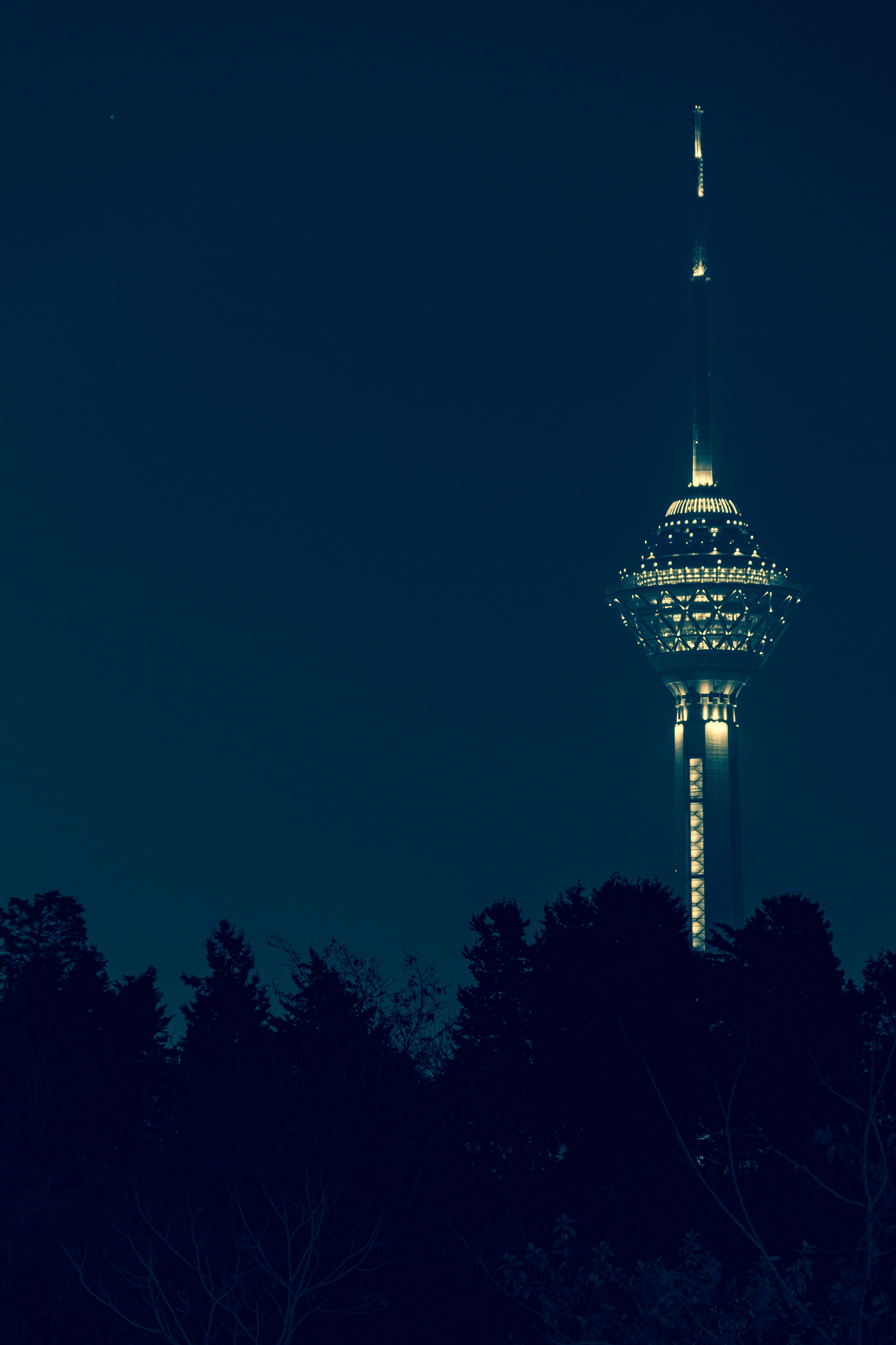 Night-Lit Spire Rising Over a Silent Treeline