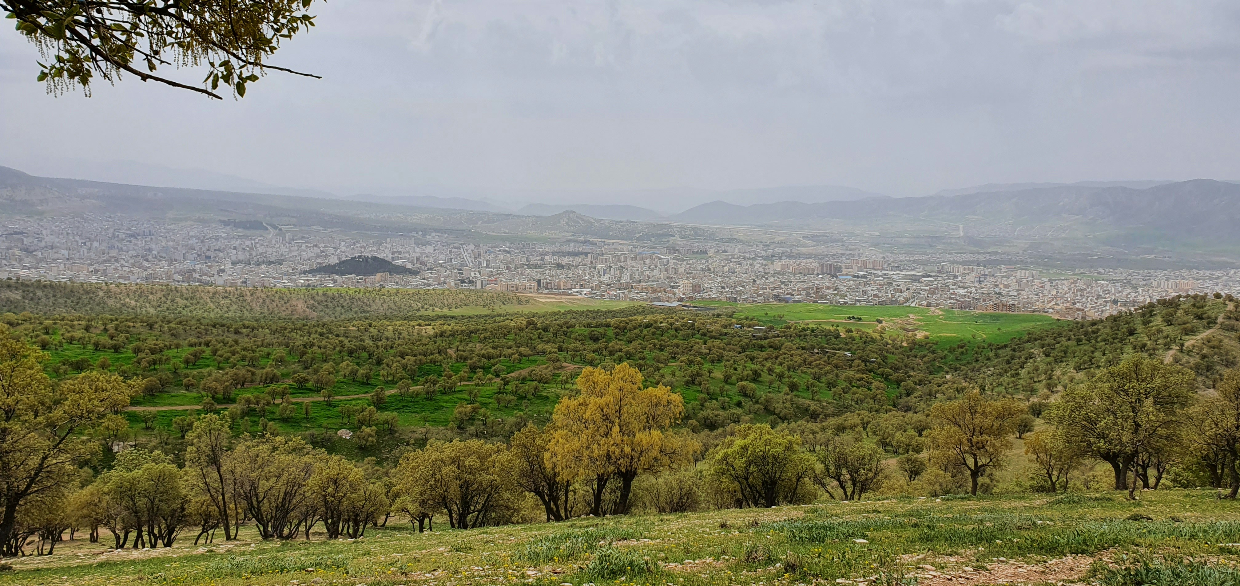 Ilam Nature | 3 best free ilam, field, iran and ilam province photos on ...