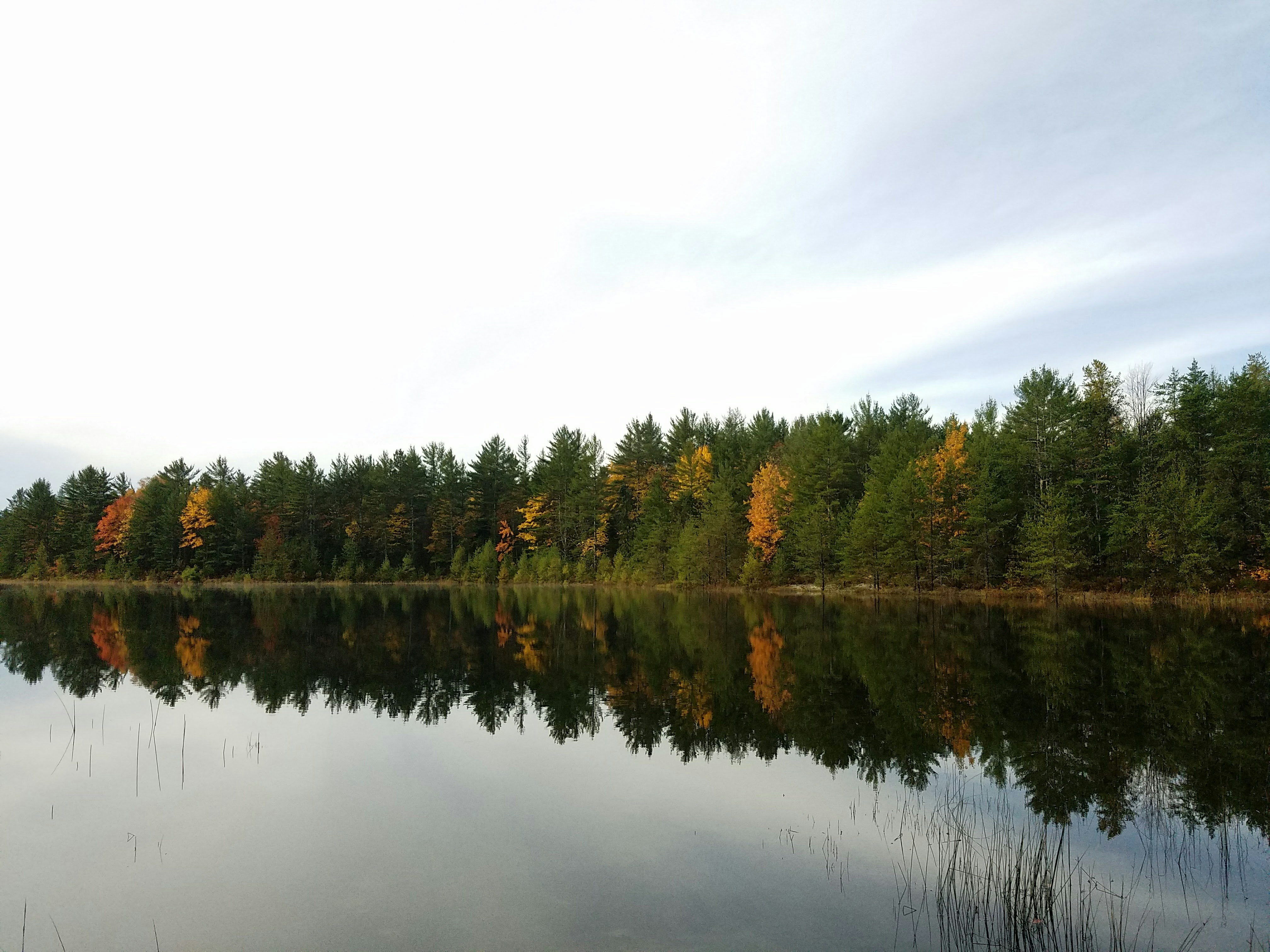 Définition de ovo | Dictionnaire français