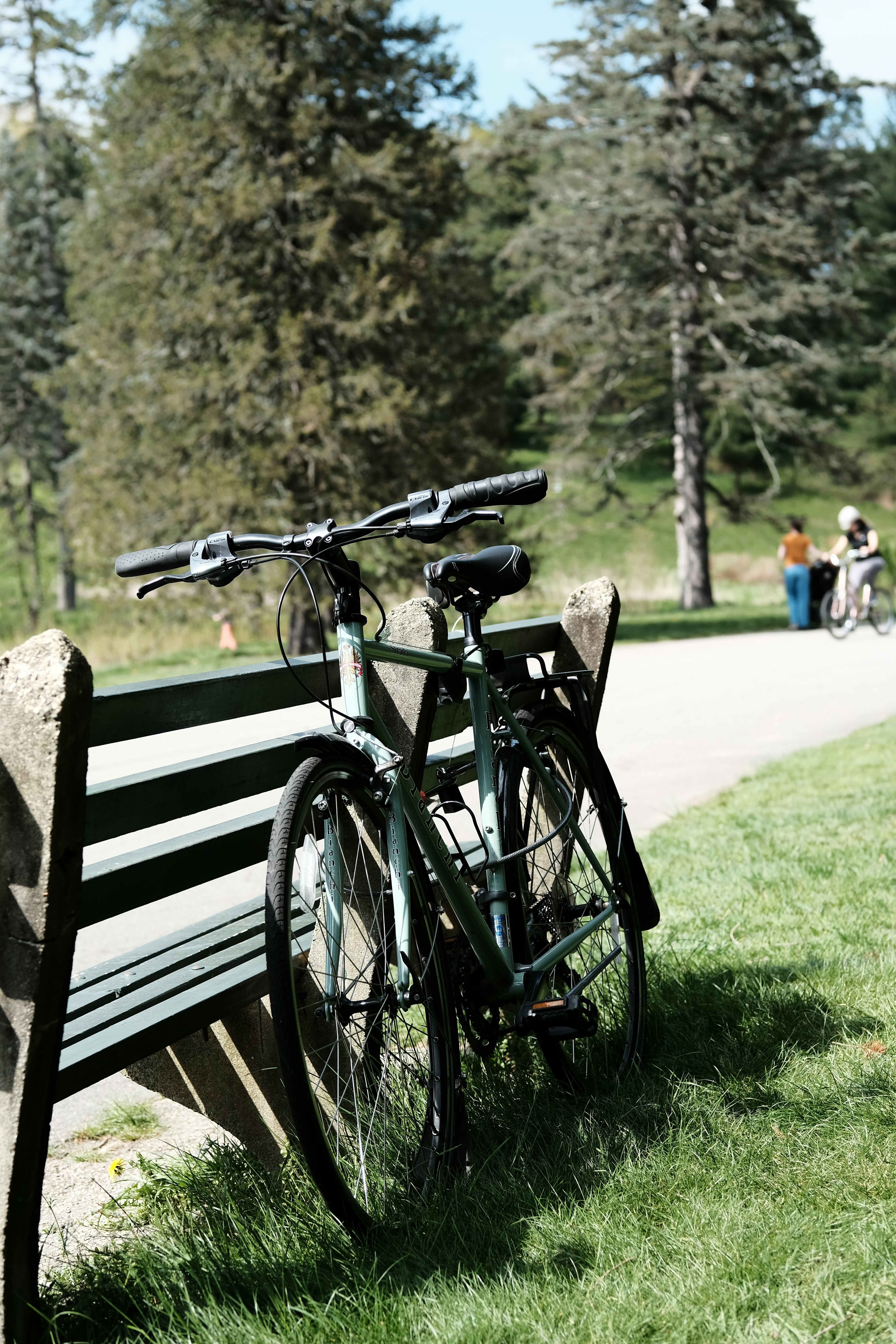 Vintage Bicycle by the Park Gate