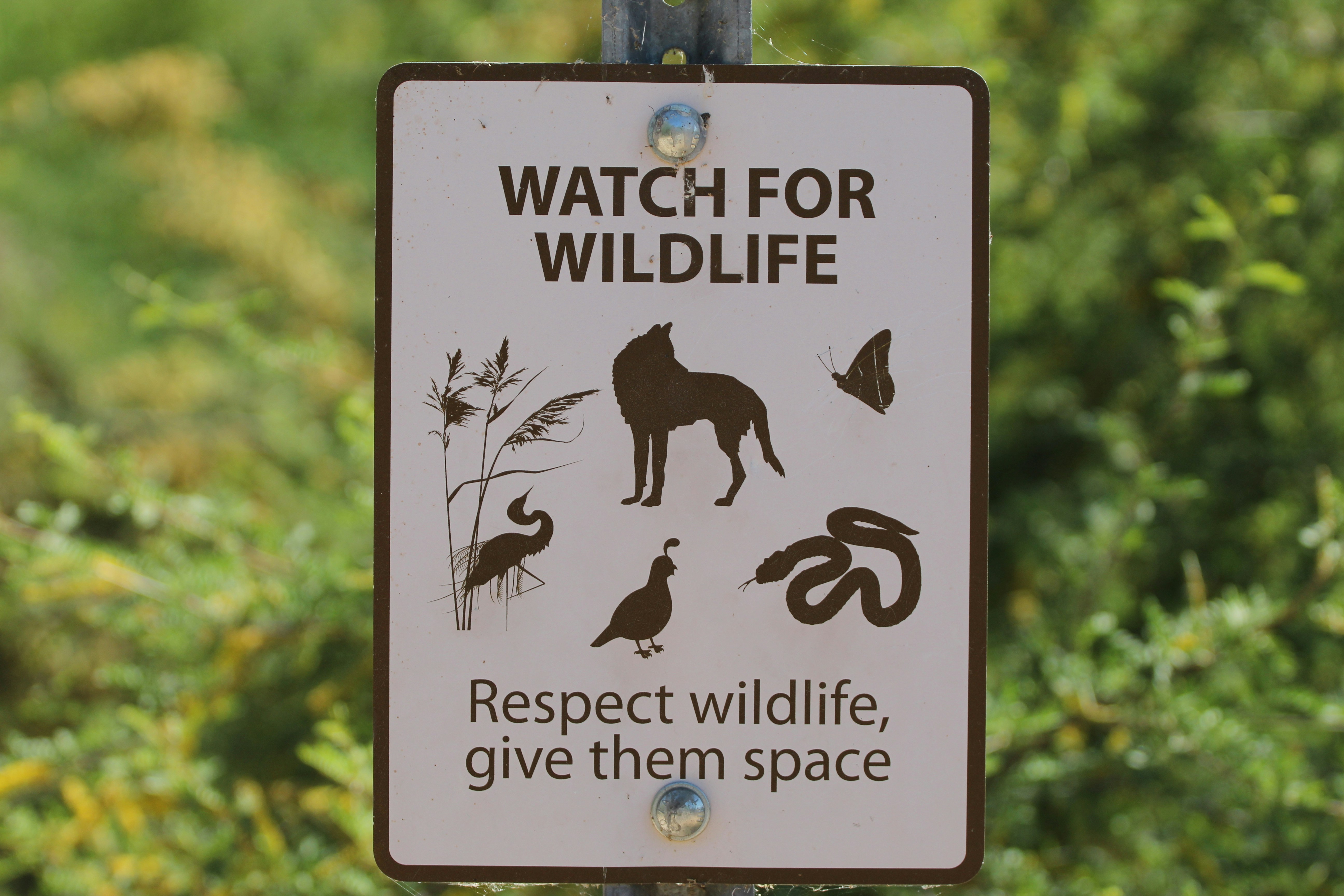 Wildlife caution sign featuring various animal silhouettes and a message about respecting wildlife. Emphasizes the importance of giving animals space.