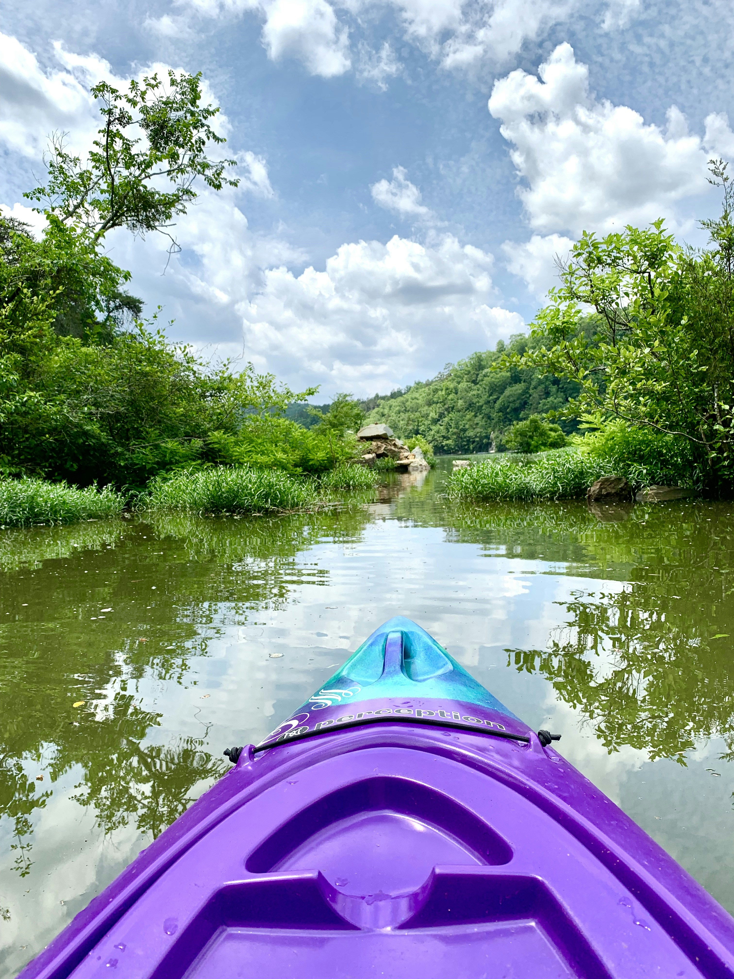 Purple and green kayak on lake during daytime photo – Free Vehicle ...