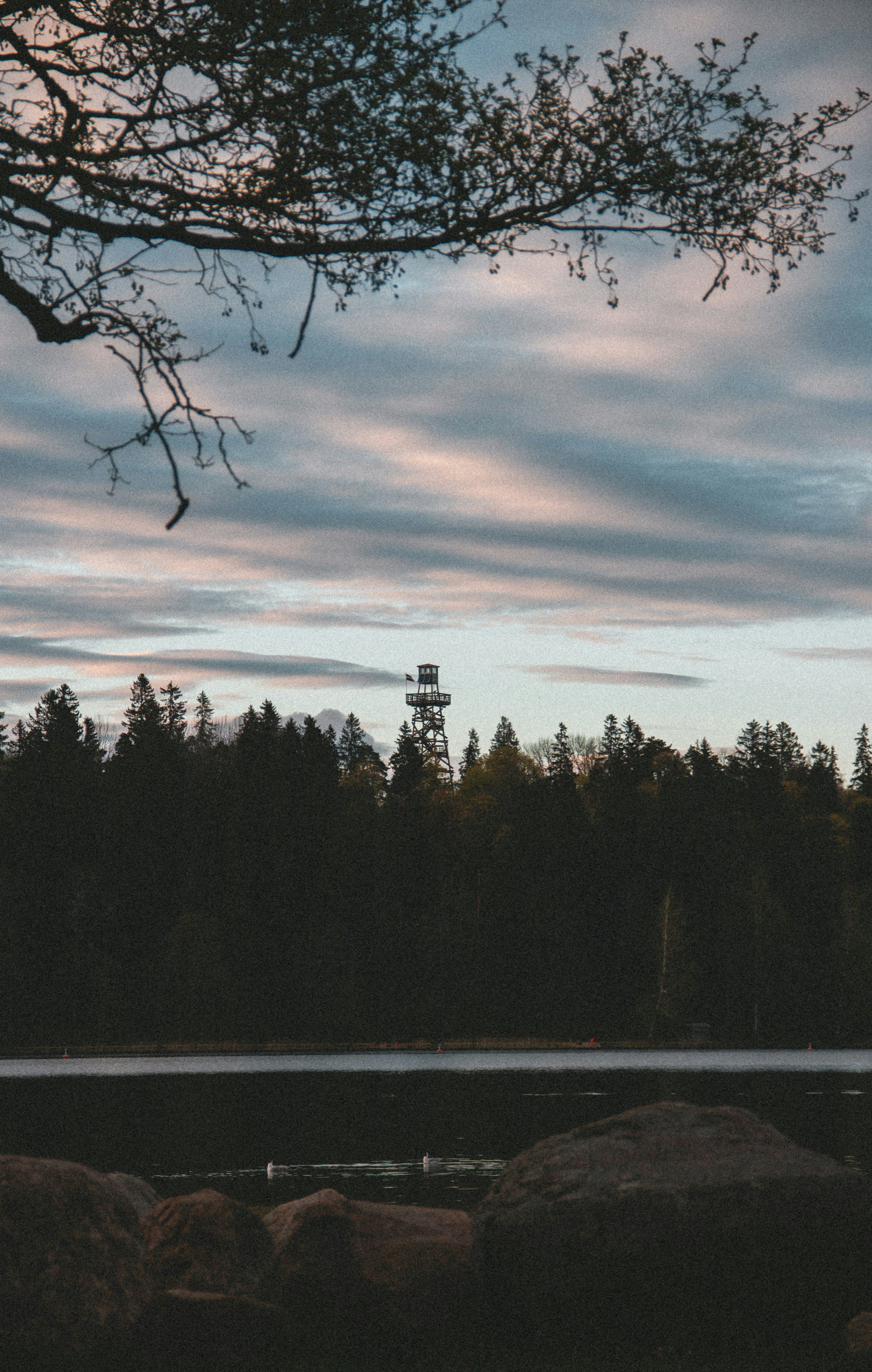 Dusk Beacon Above a Quiet Pines Shore