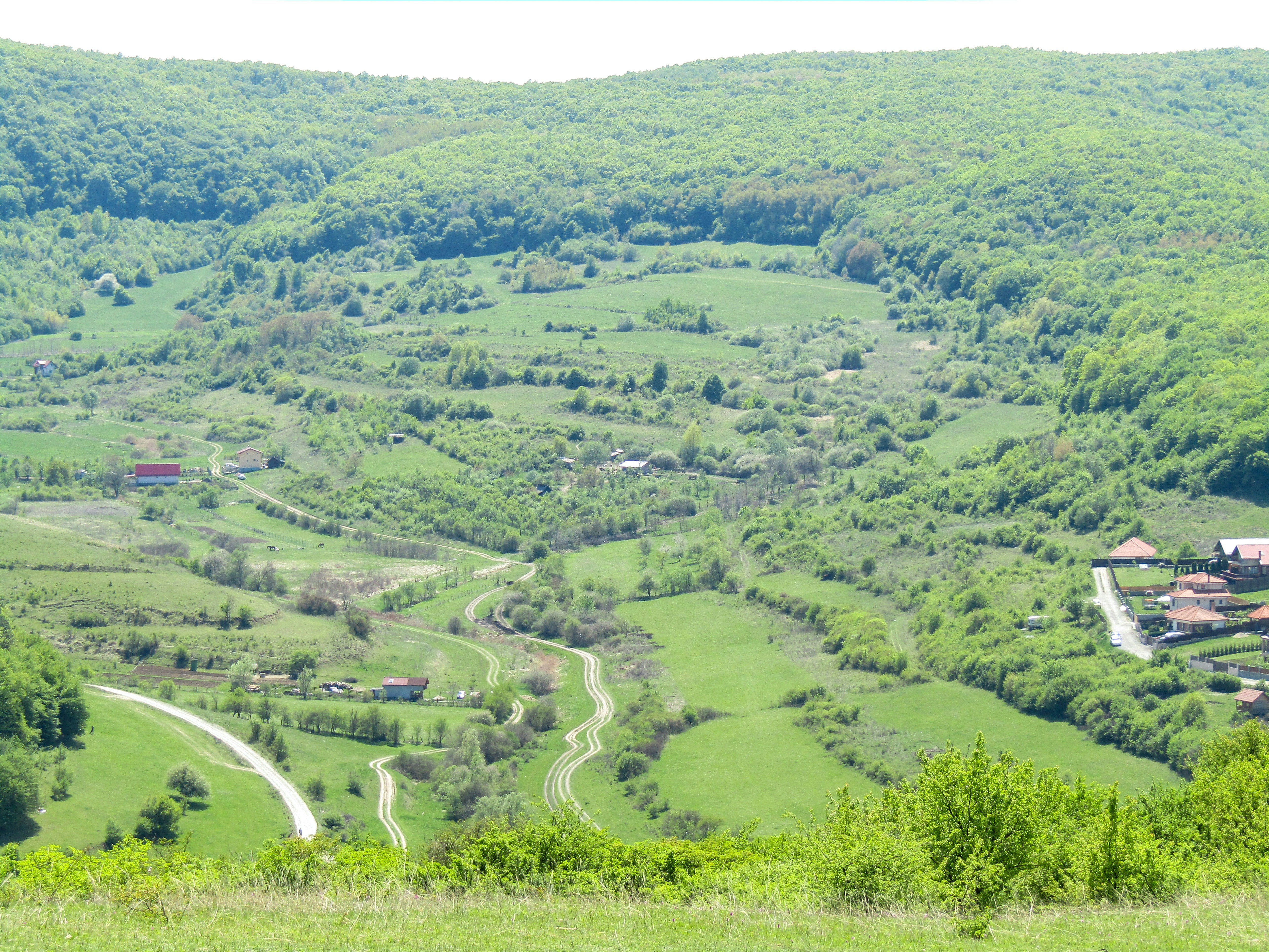 A sweeping hillside valley with winding dirt paths and scattered houses, bathed in spring greenery. The meandering roads draw the eye toward the distant hills.